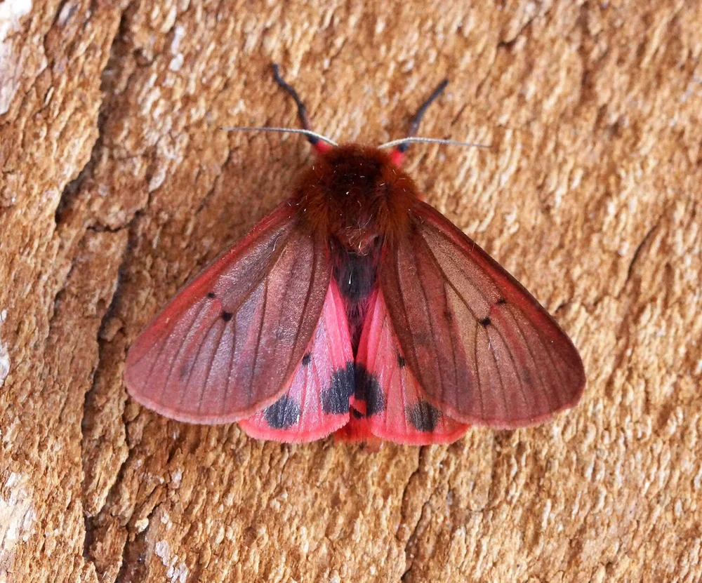 10 Stunning Reasons Why Families Should Visit The Blue Lagoon in Malta
