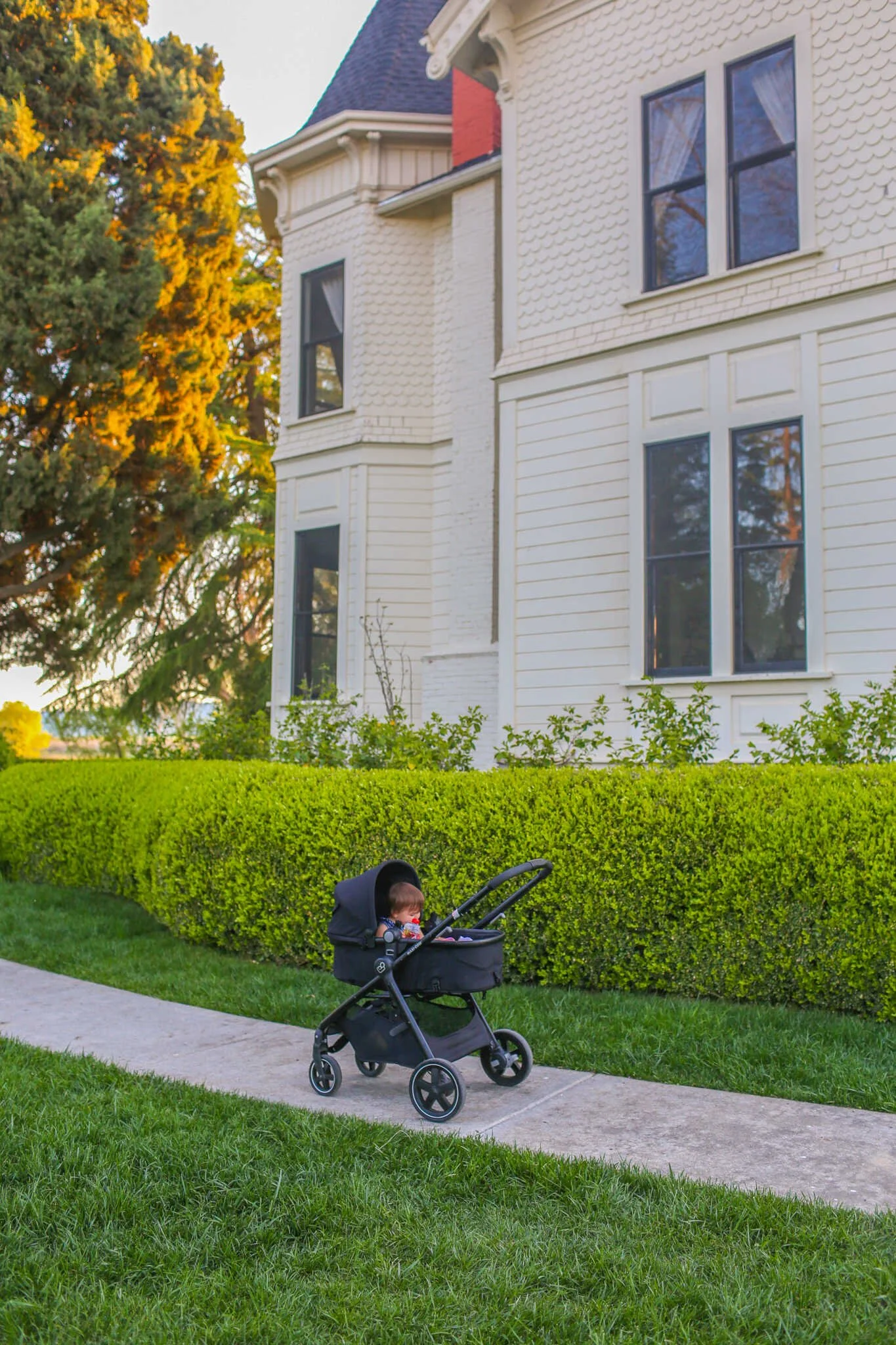 Travel Guide to Yolo County - Hidden Gems & Small Towns to Visit