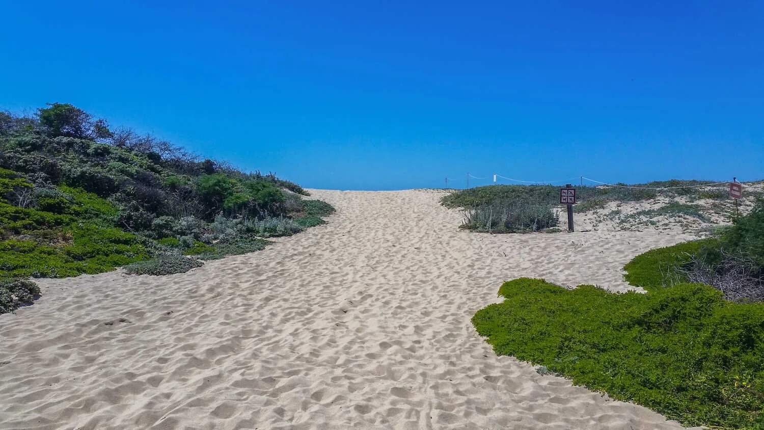 A Weekend Guide to Half Moon Bay – Top Things to See and Do on the Coast