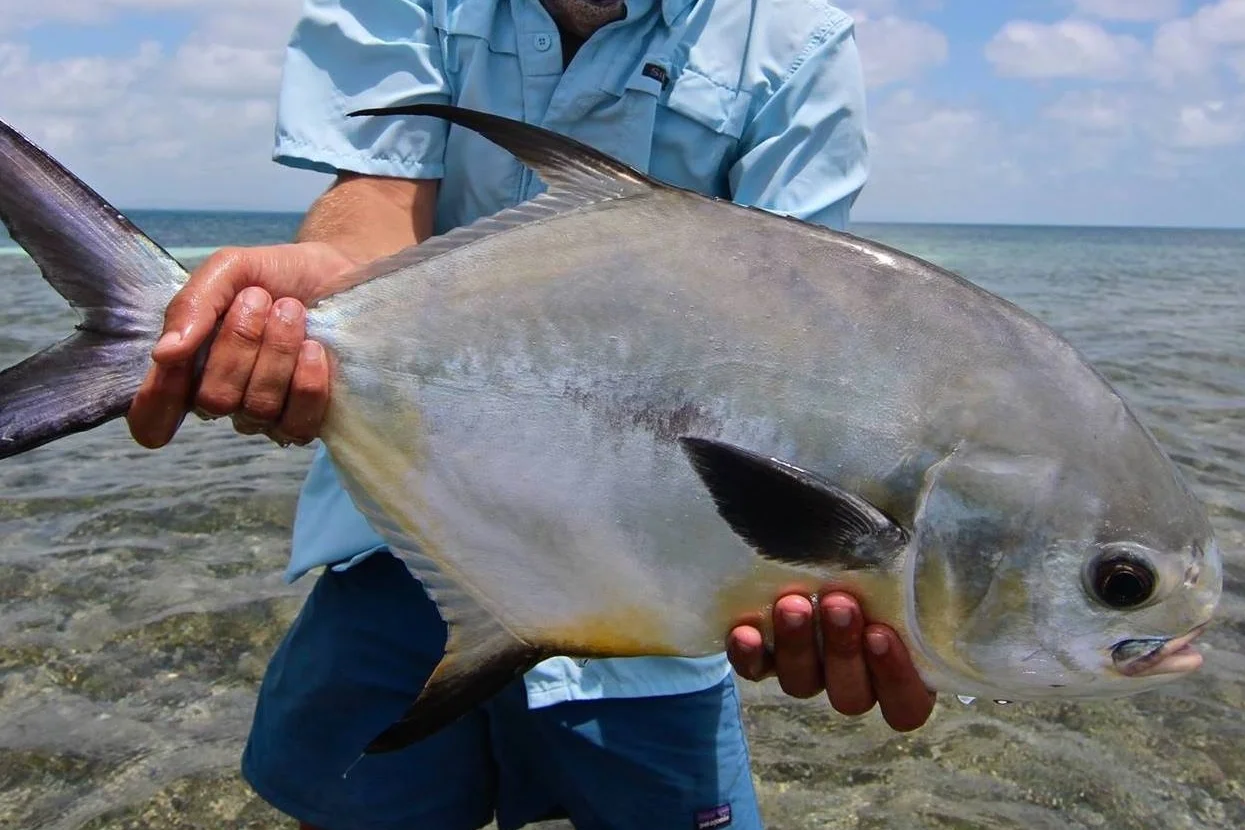 Blue Horizon Lodge | Belize Fly Fishing | Muy'Ono Resorts