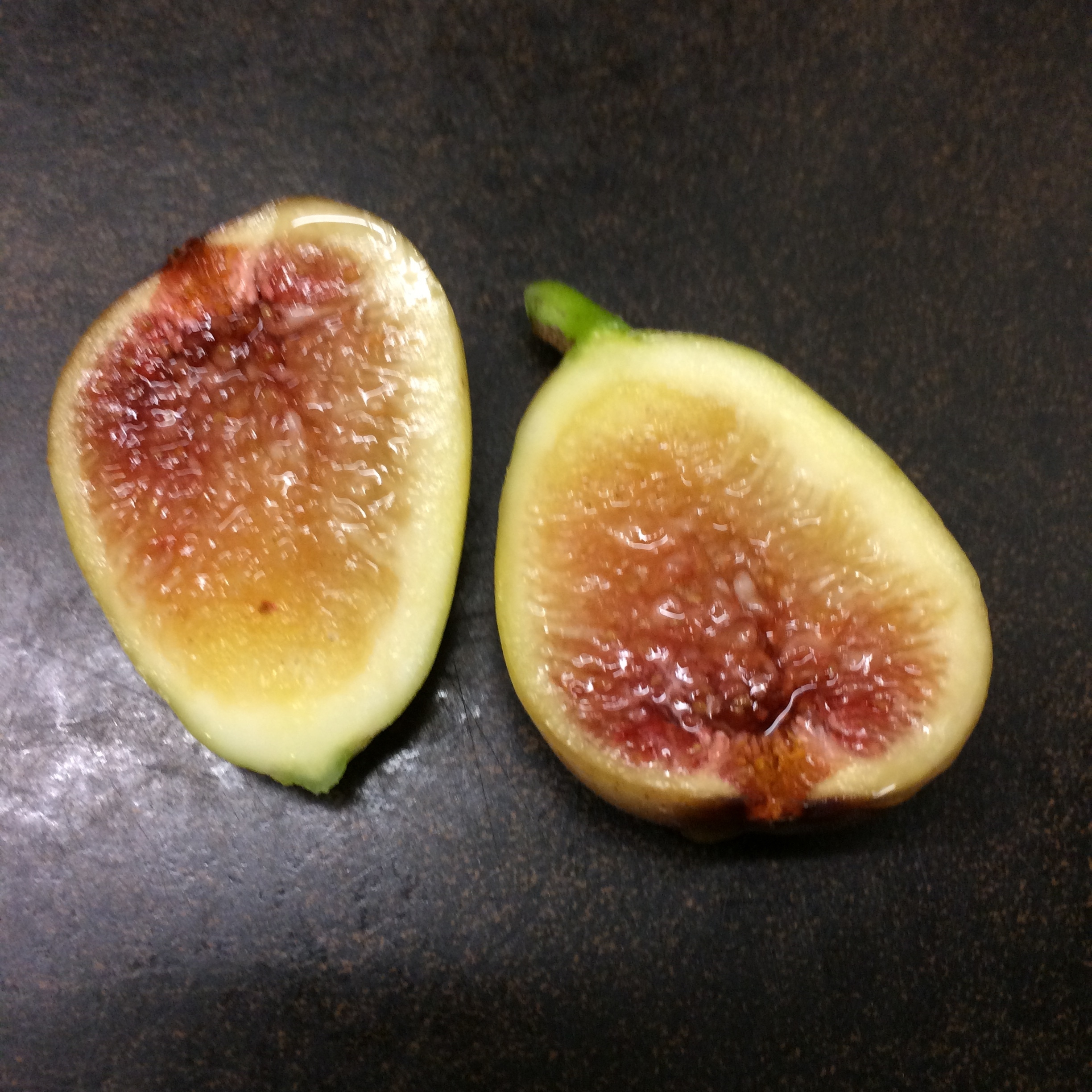 Dorée — french fig farm