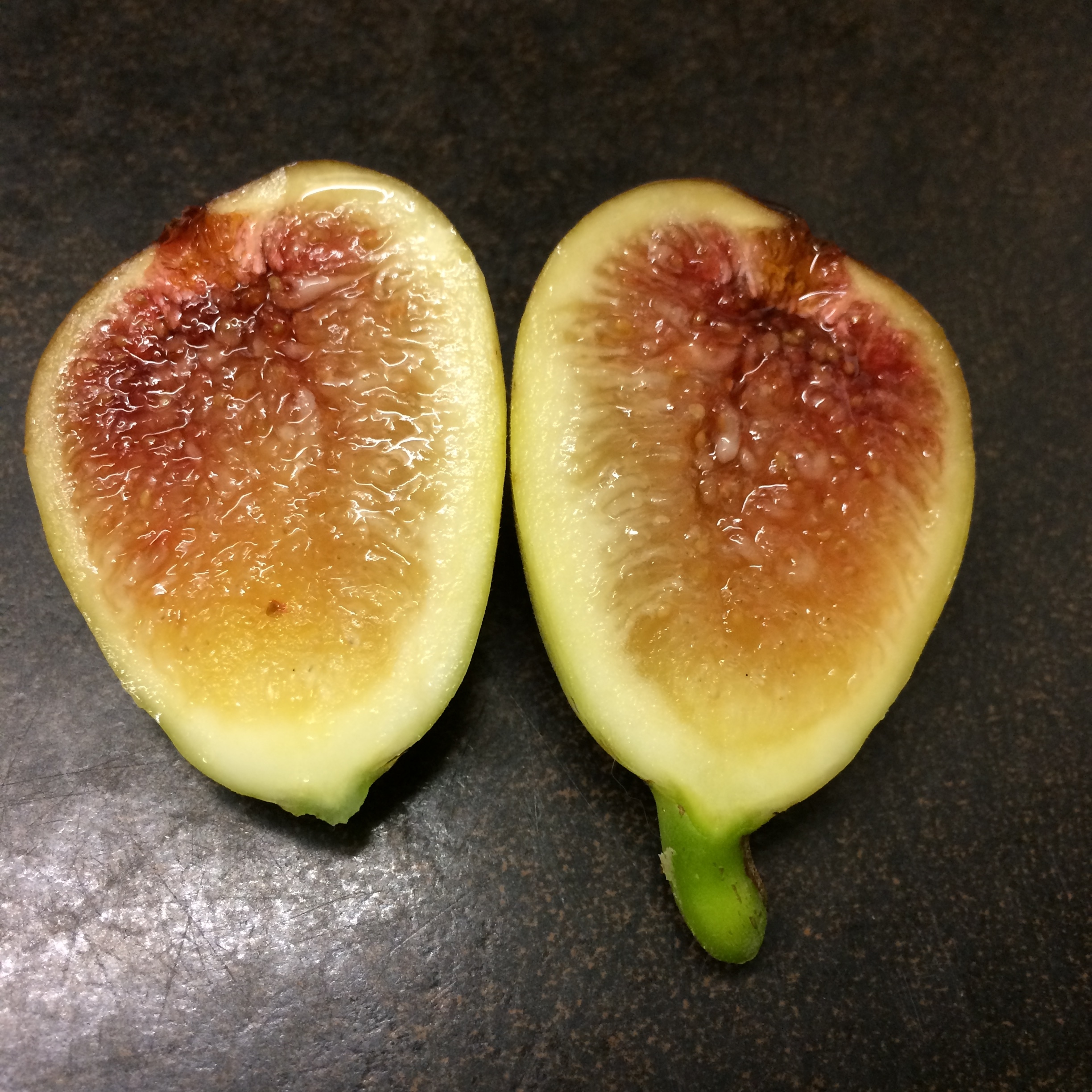 Fig Trees For Sale — french fig farm