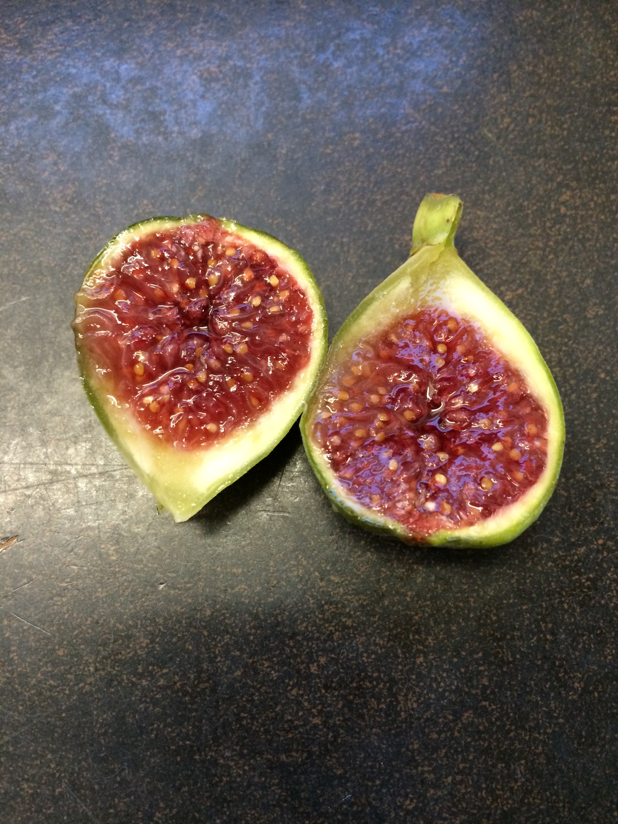 Verdal Longue — french fig farm