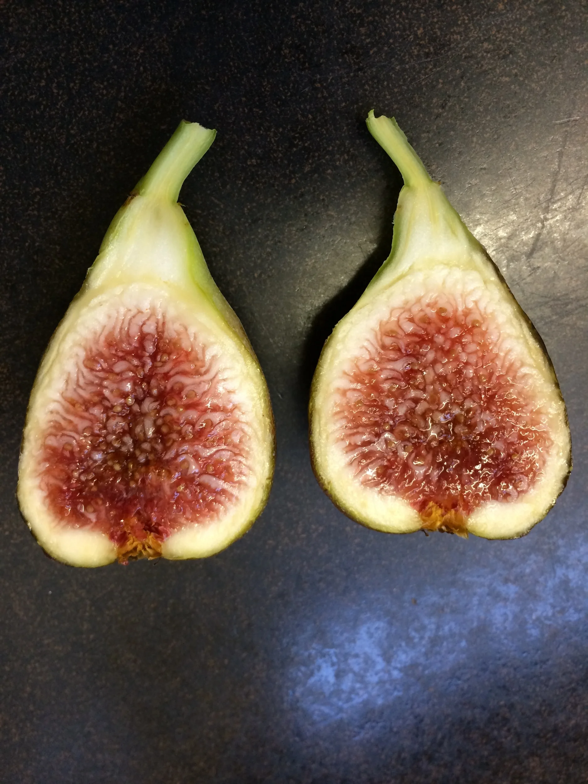 La Bourgeoise — french fig farm