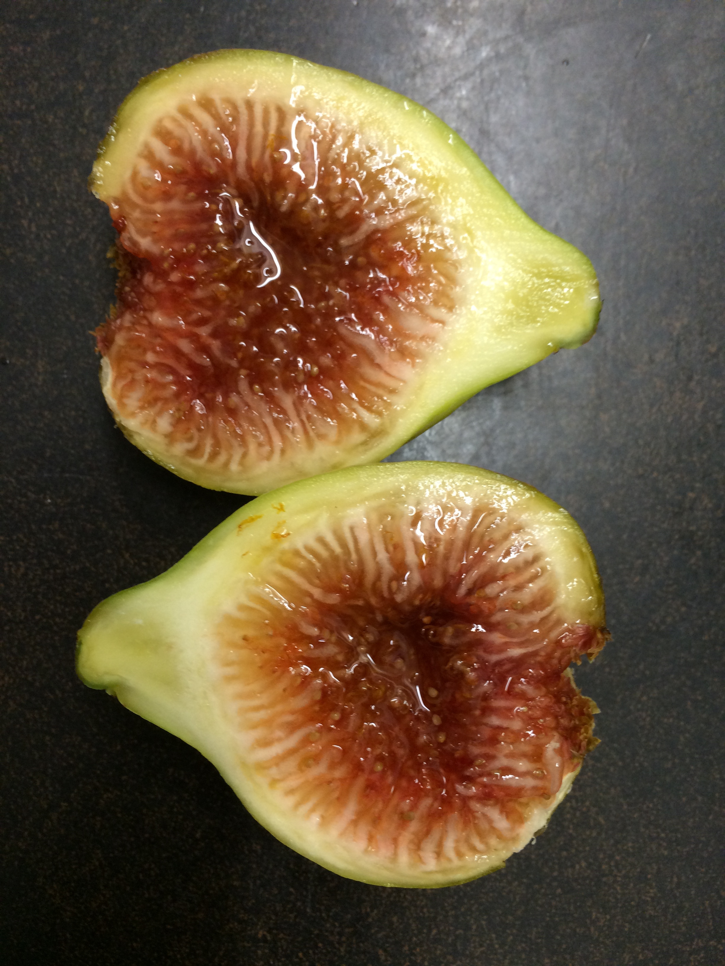 Italian 258 — french fig farm