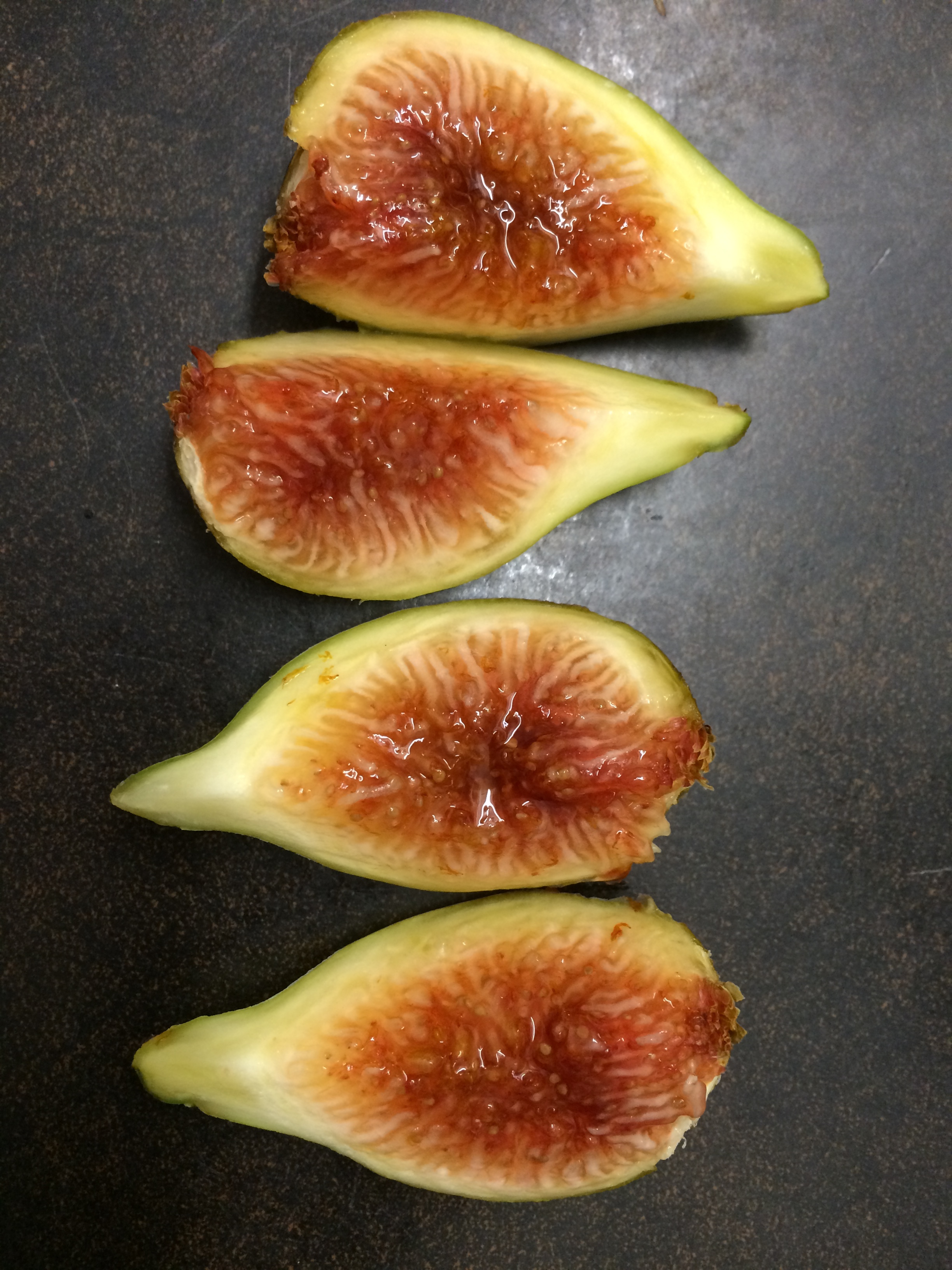 Italian 258 — french fig farm