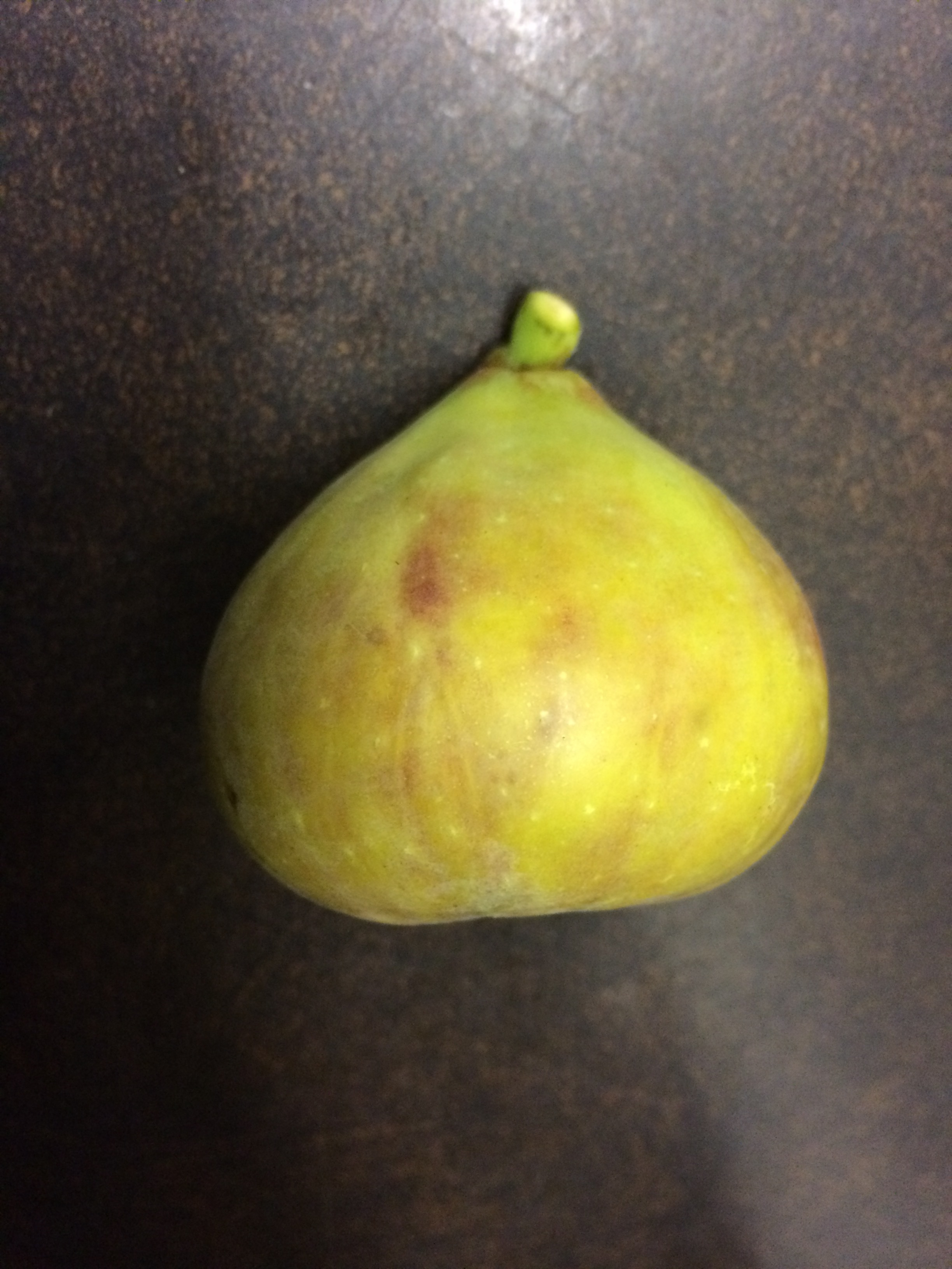 Italian 258 — french fig farm