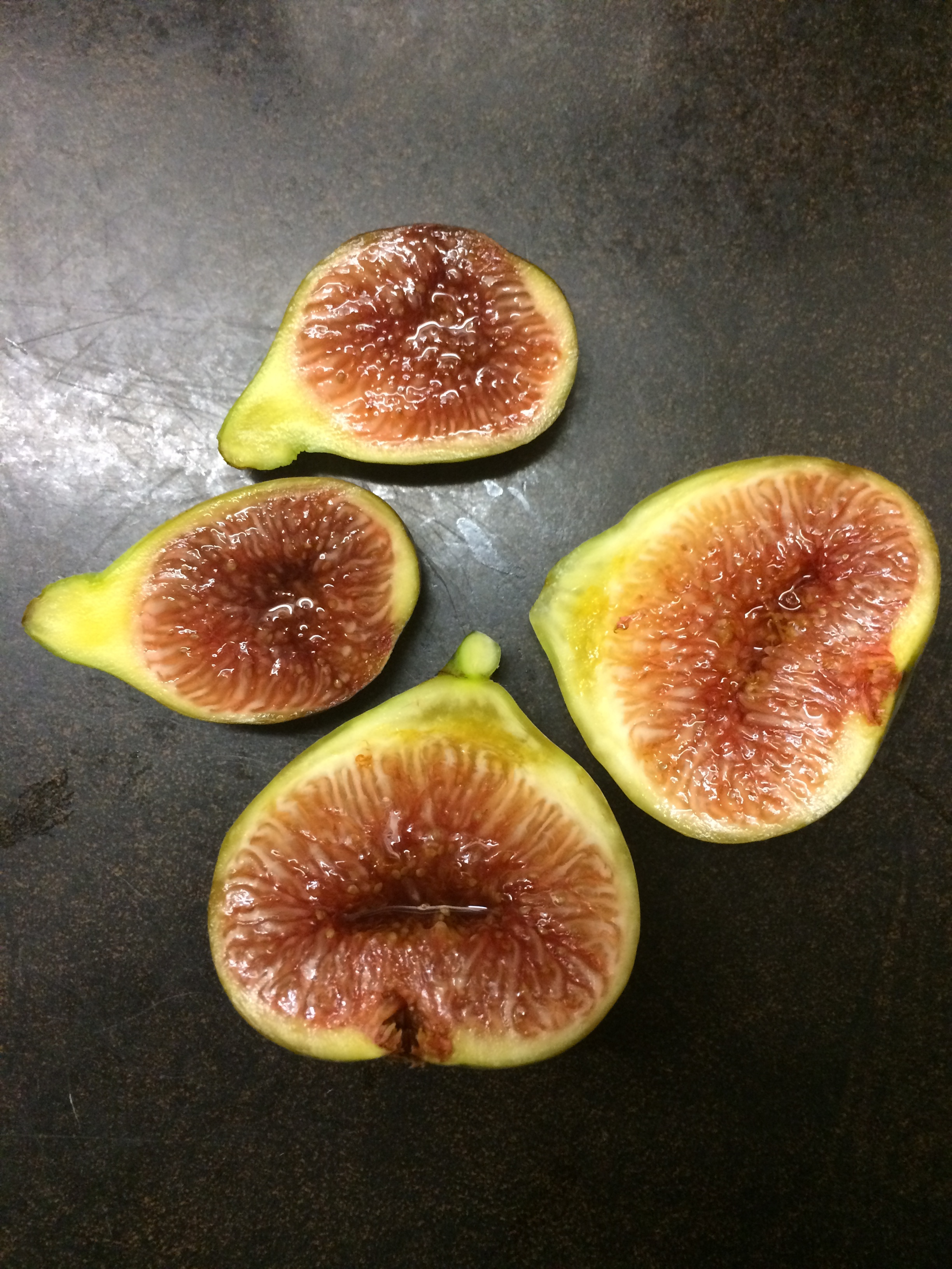 Italian 258 — french fig farm