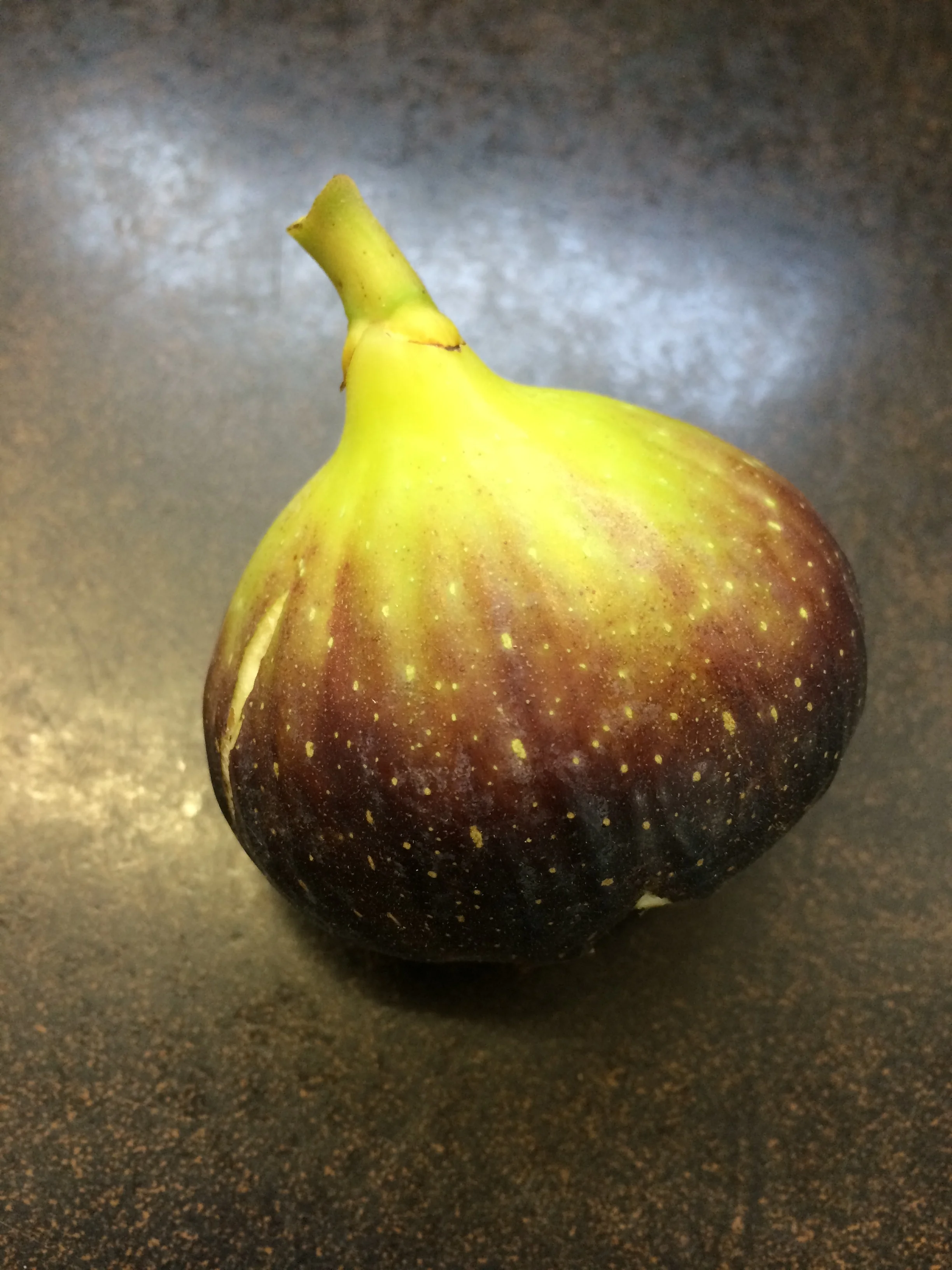 Calderona — french fig farm