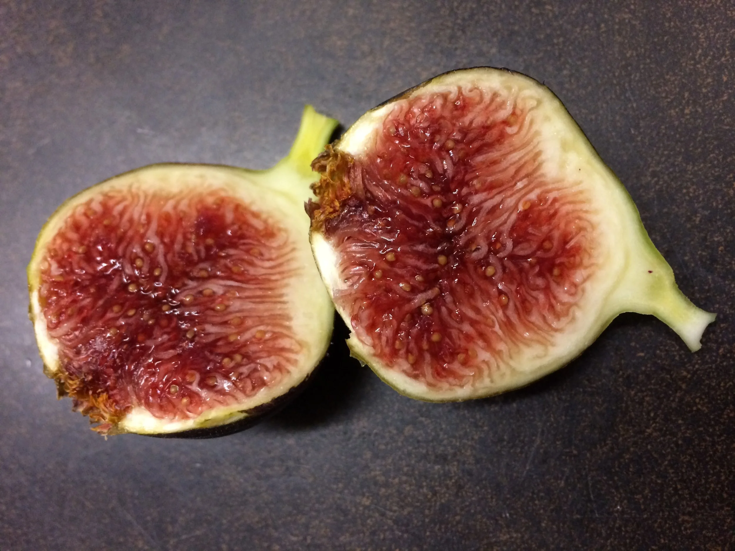 Calderona — french fig farm