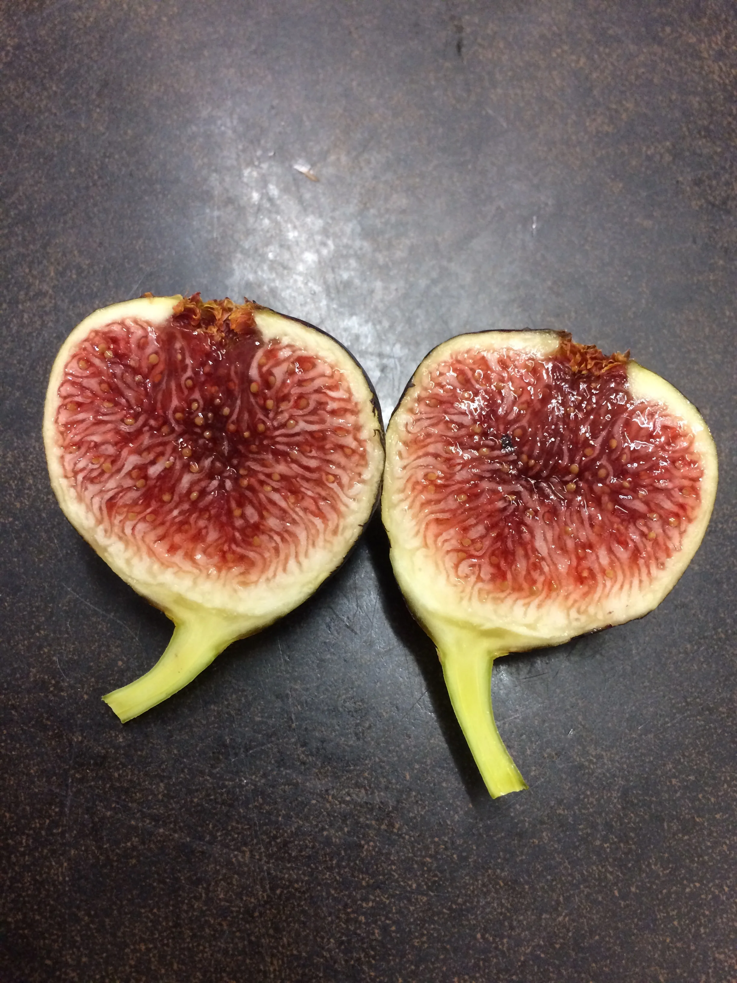 Calderona — french fig farm