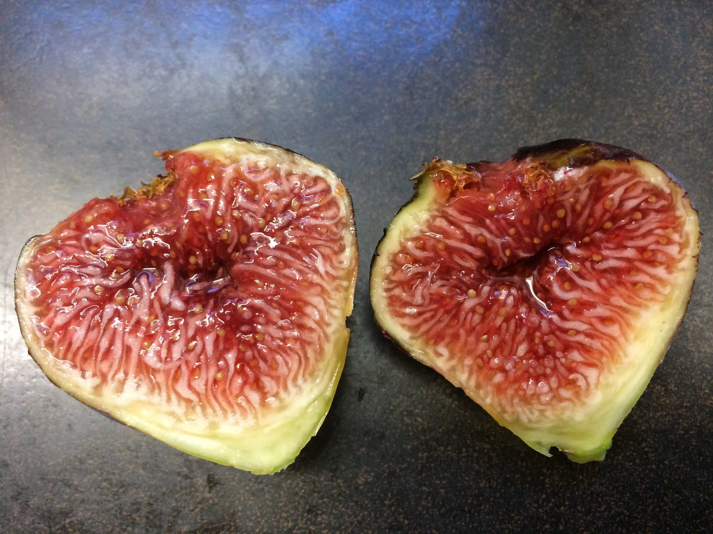 Calderona — french fig farm