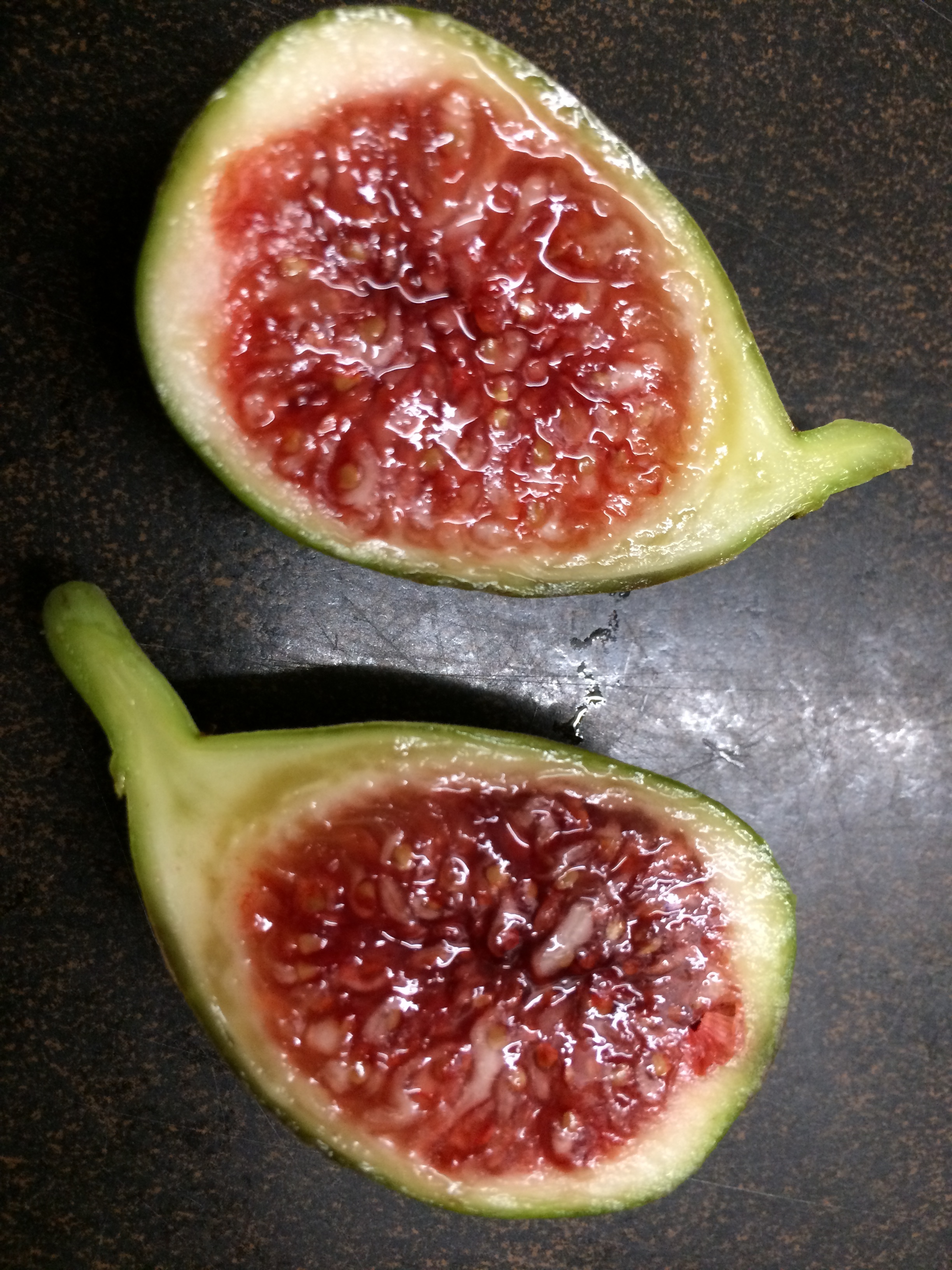 Verdal Longue — french fig farm