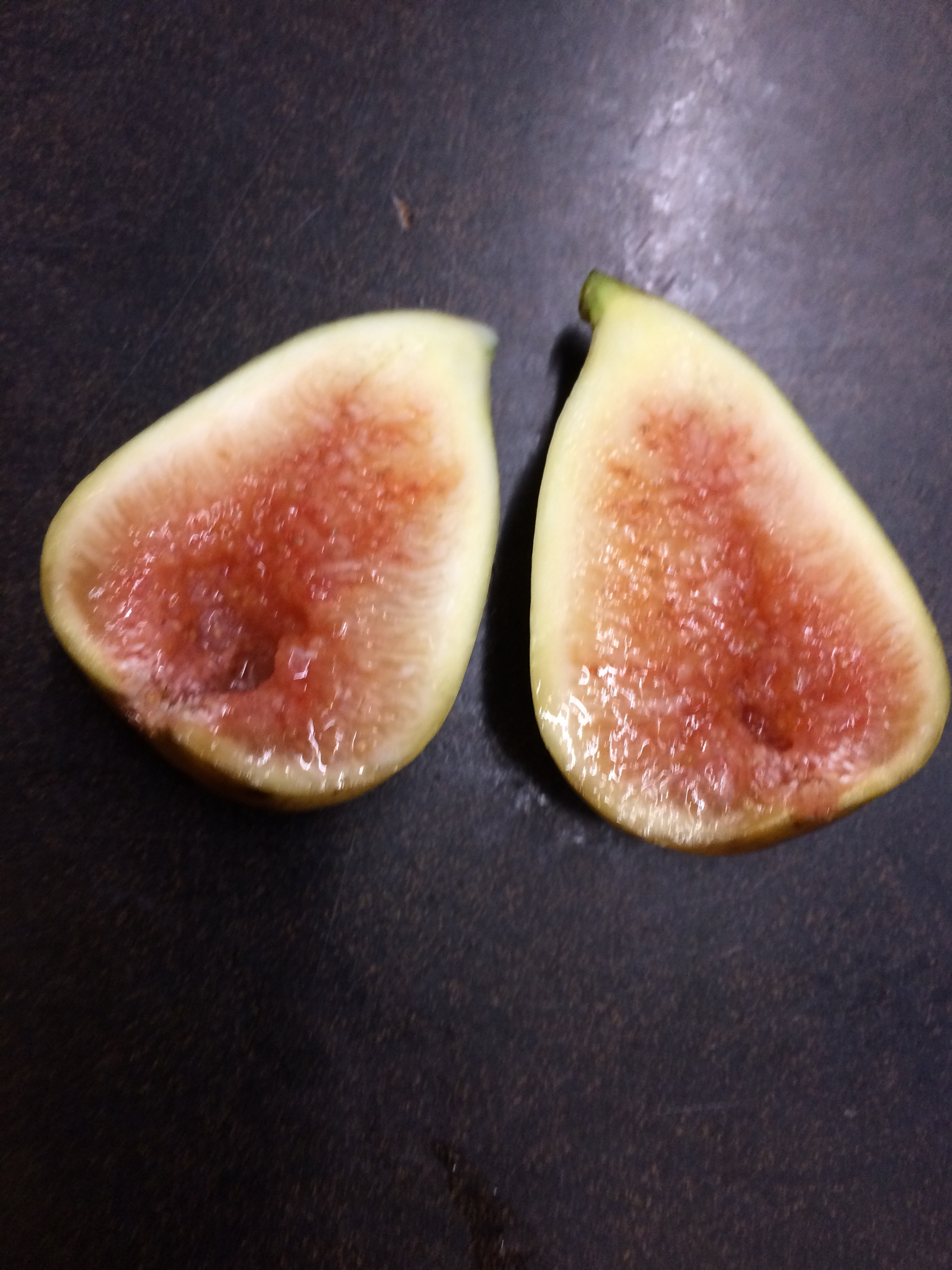 Dorée — french fig farm