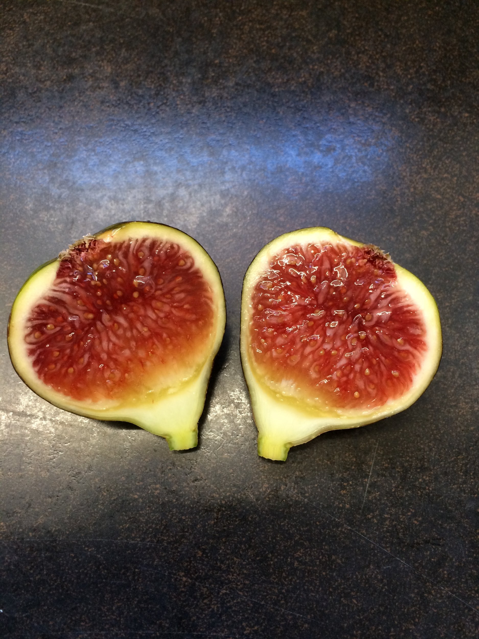 Fig Trees For Sale — french fig farm