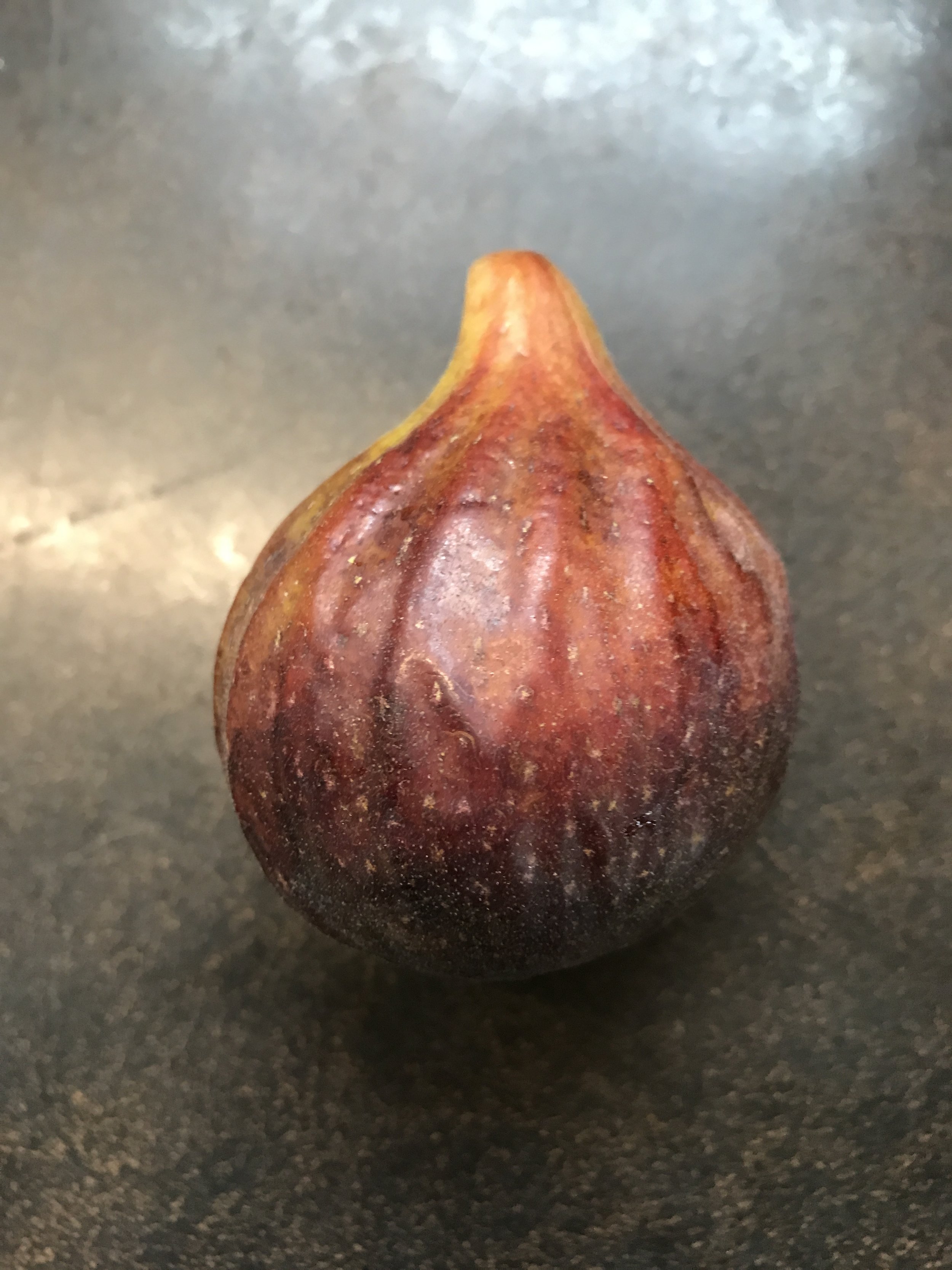 Dauphine — french fig farm
