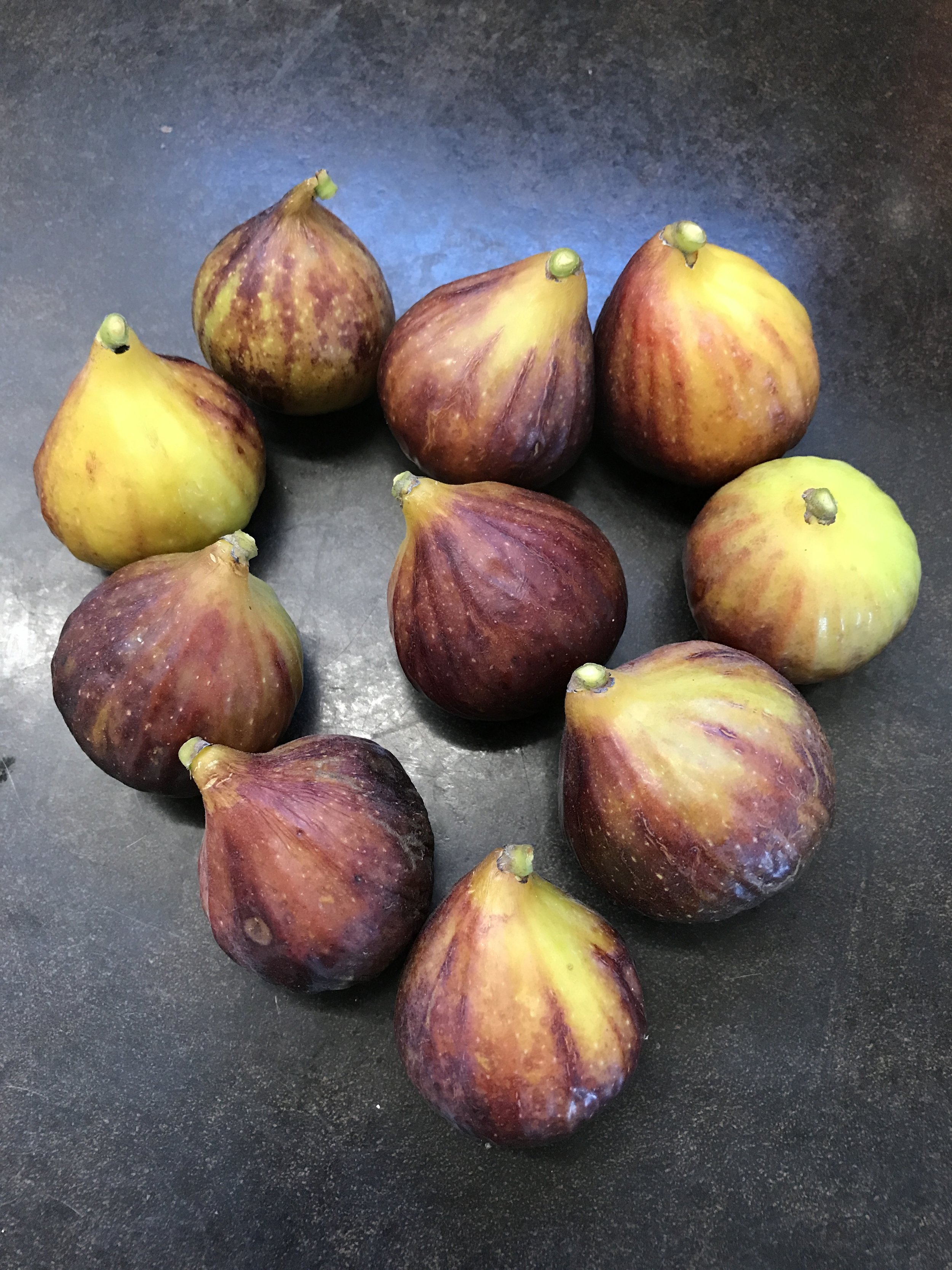 Dauphine — french fig farm