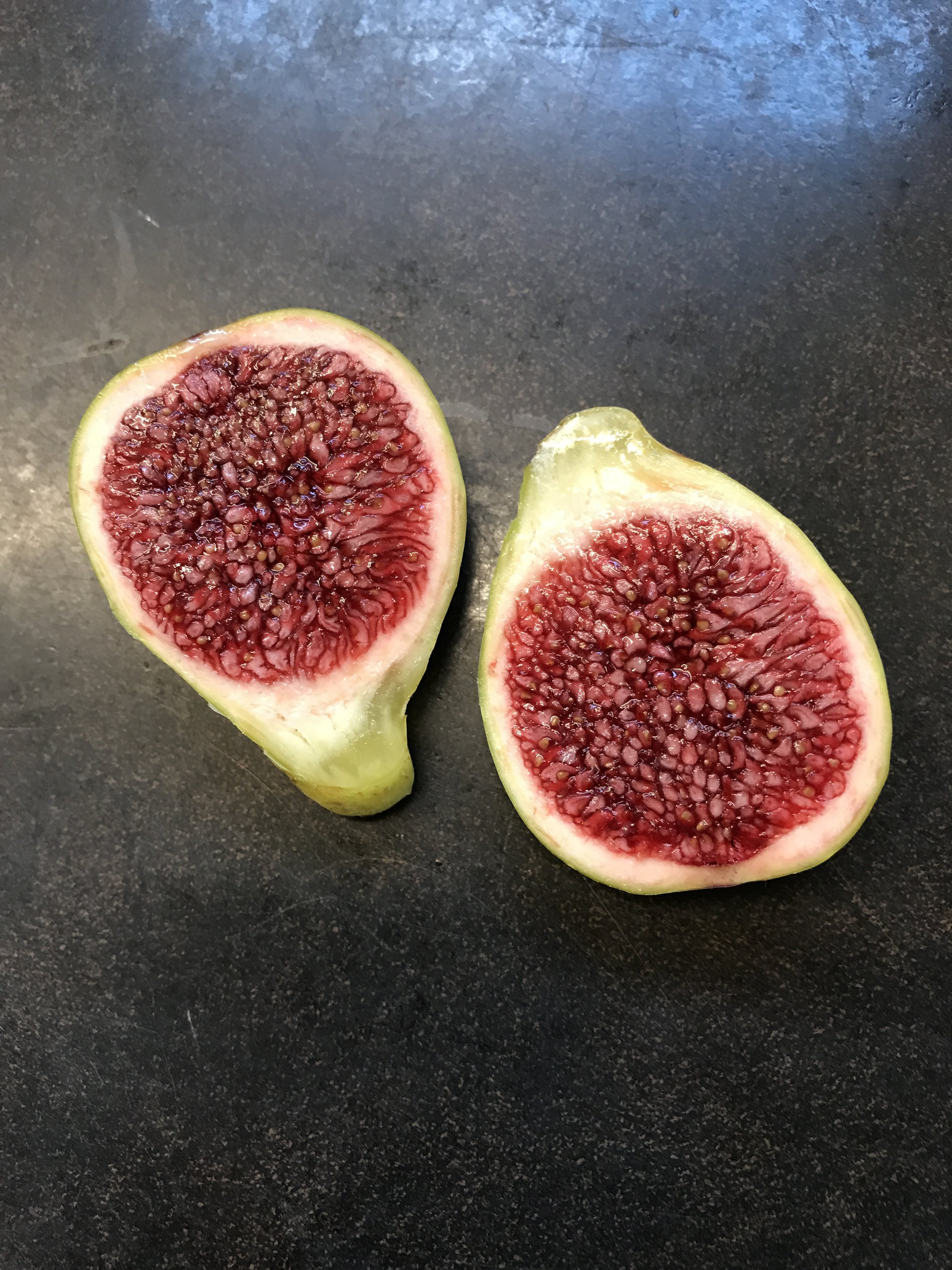 Fig Trees For Sale — french fig farm