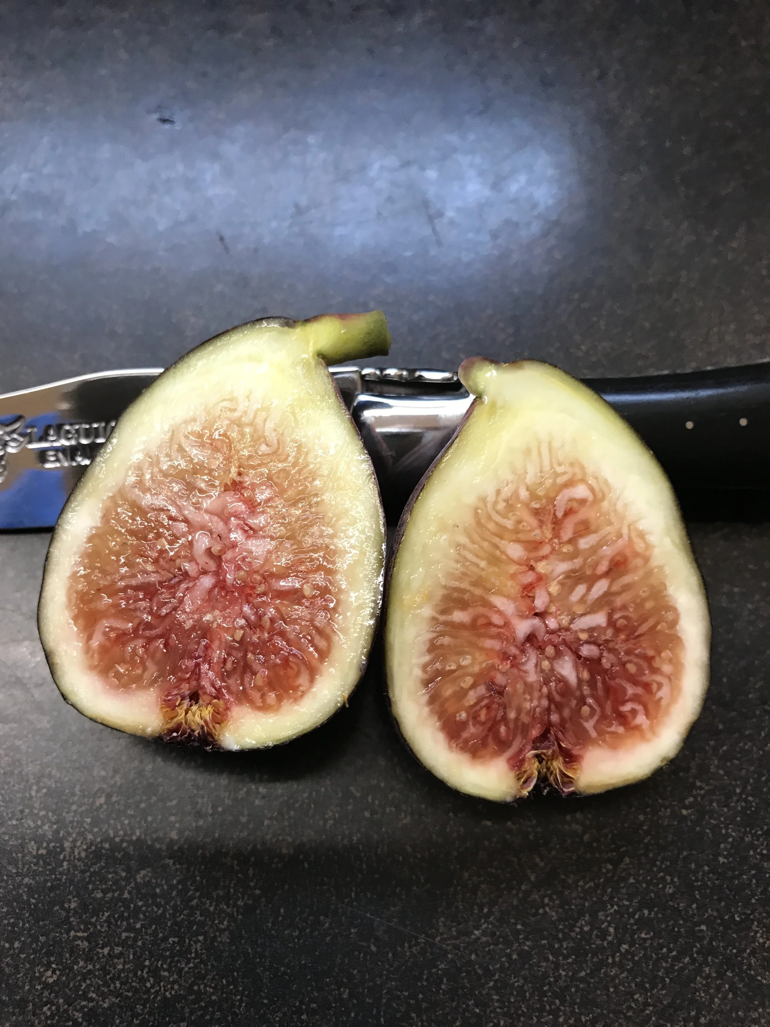 Fig Trees For Sale — french fig farm