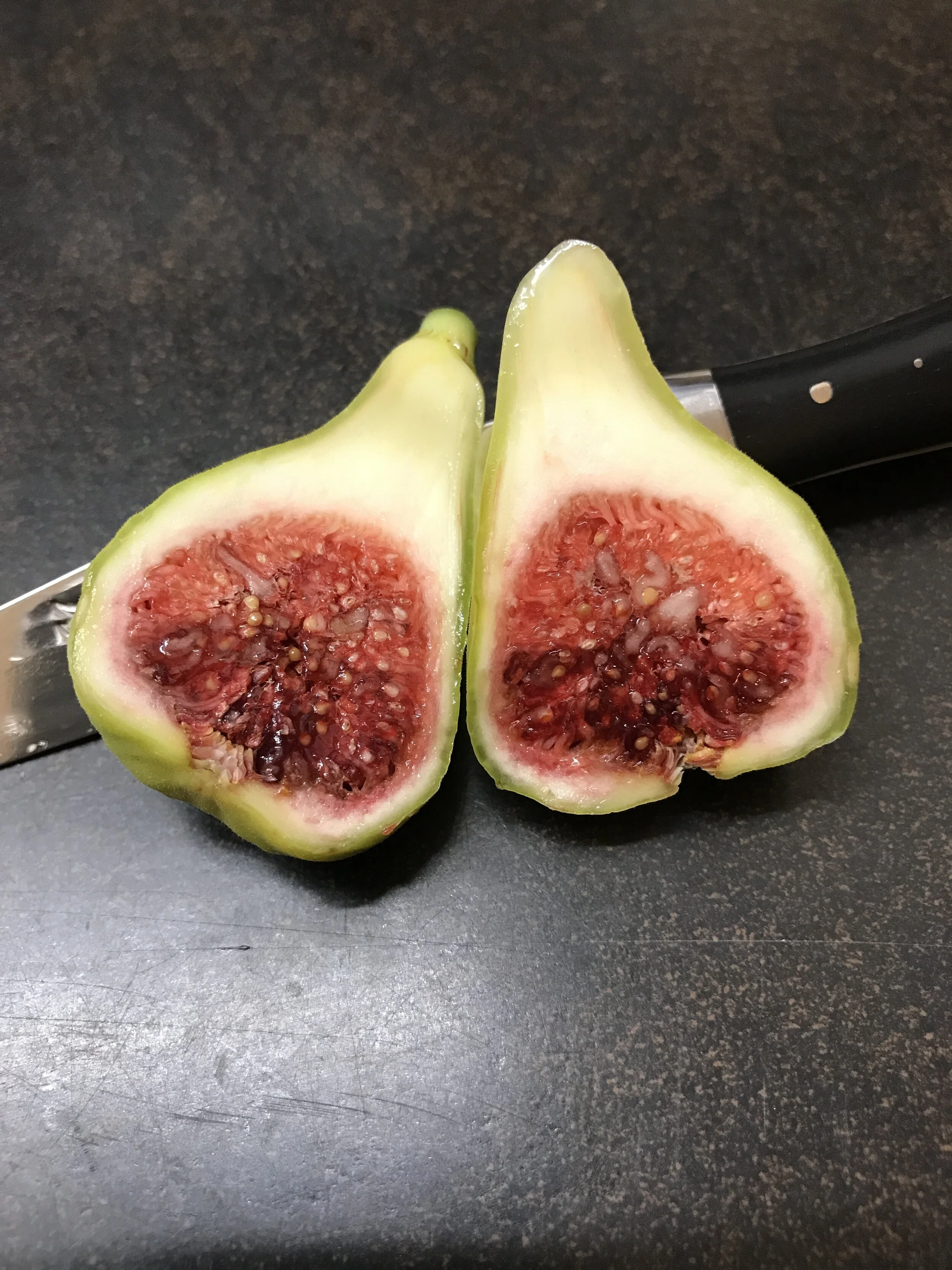 Fig Trees For Sale — french fig farm