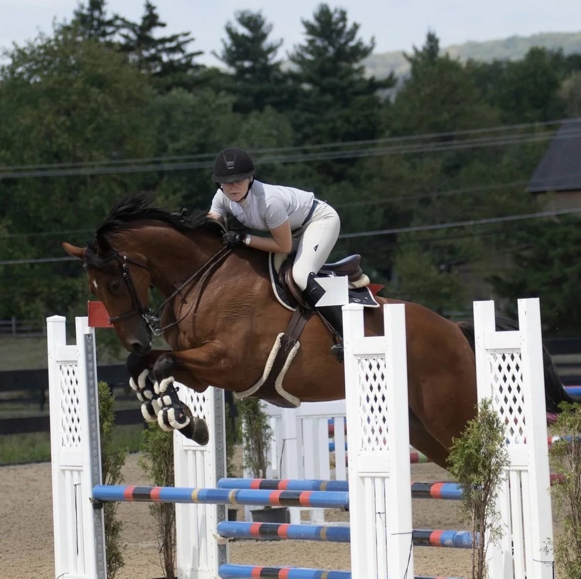 Sales — Chester Riding Club