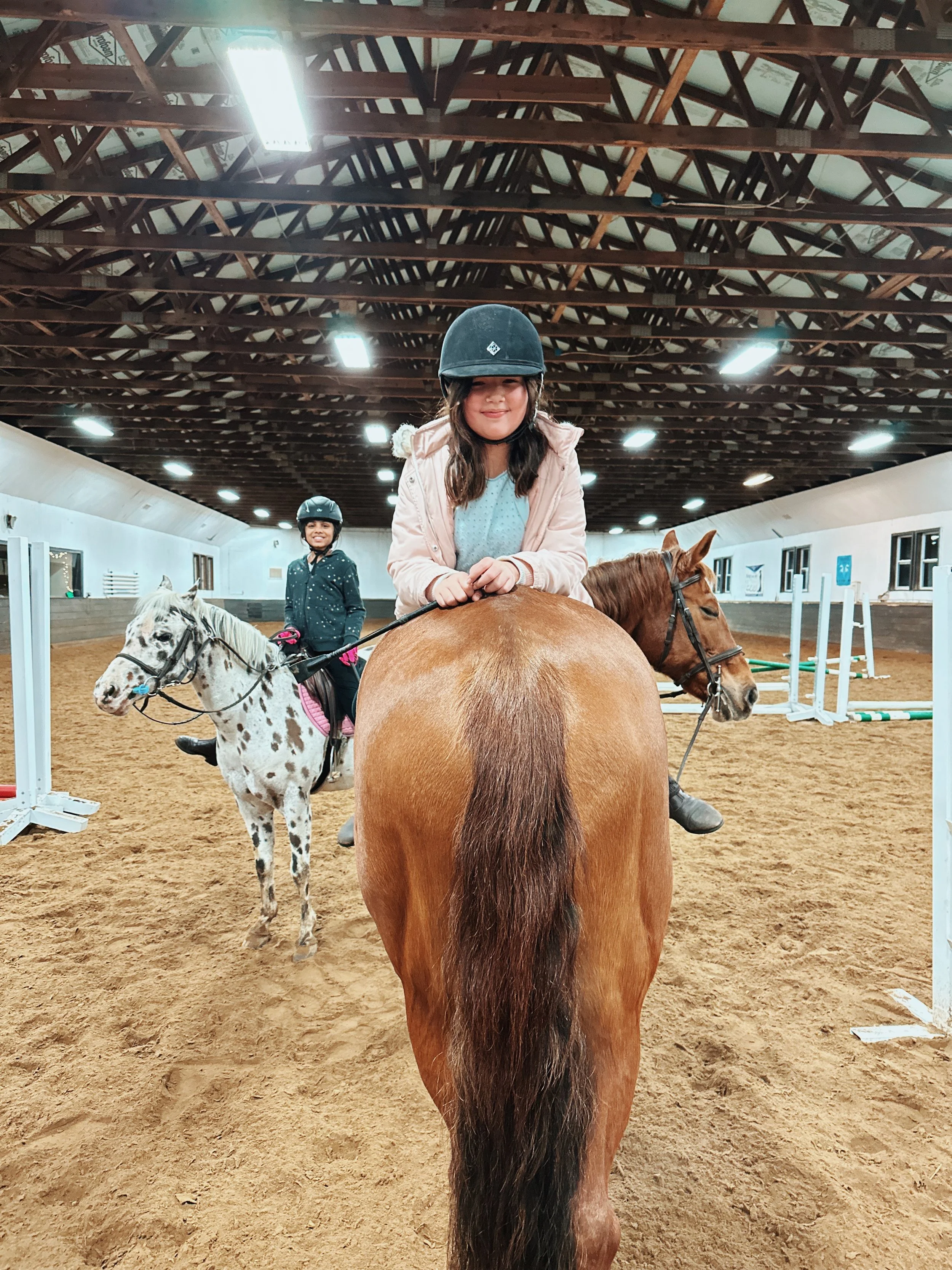 Riding Lessons — Chester Riding Club