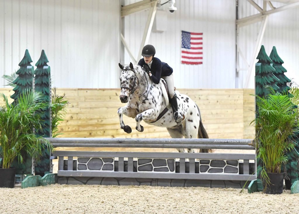 Sales — Chester Riding Club