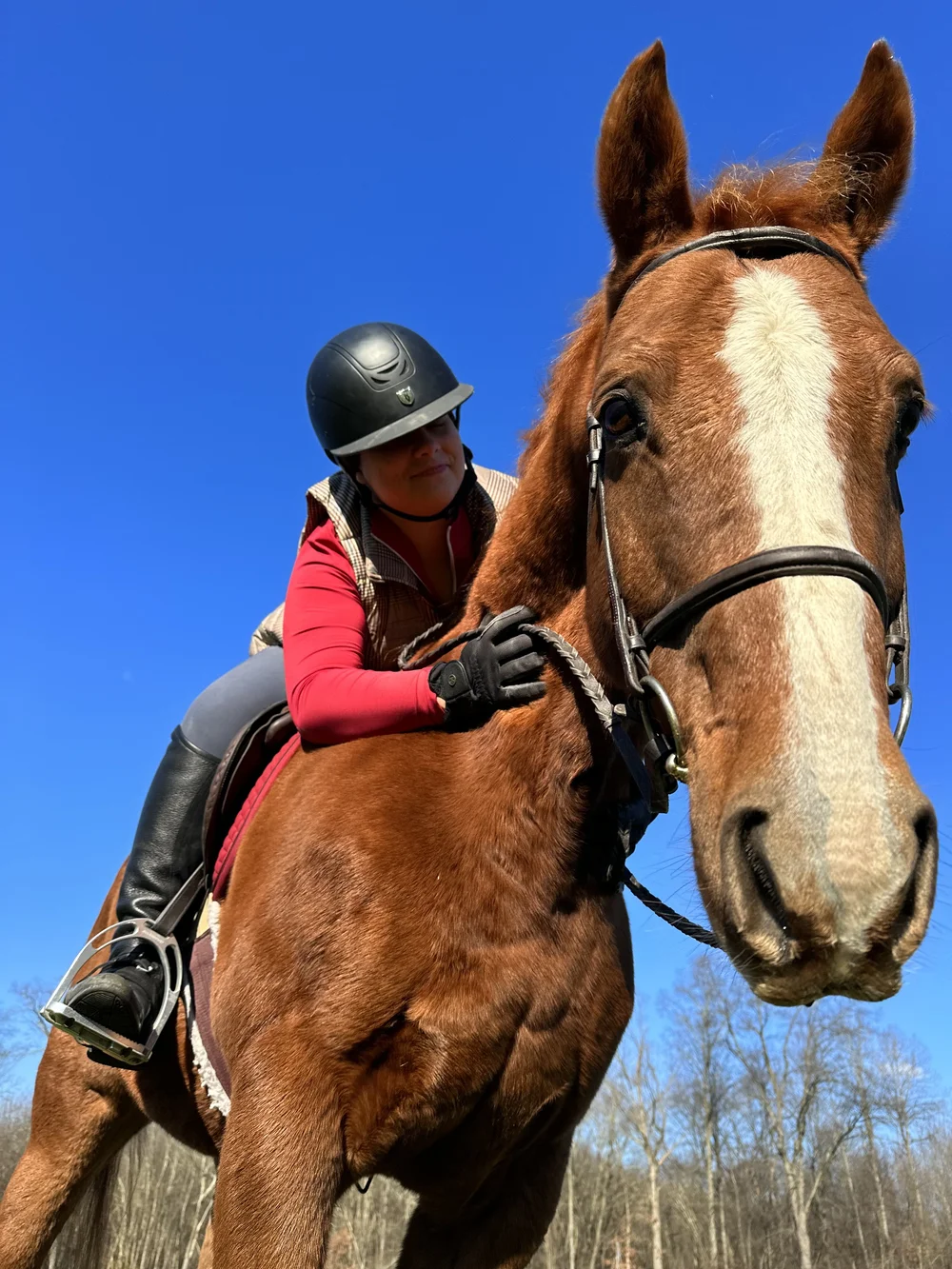 Riding Lessons — Chester Riding Club