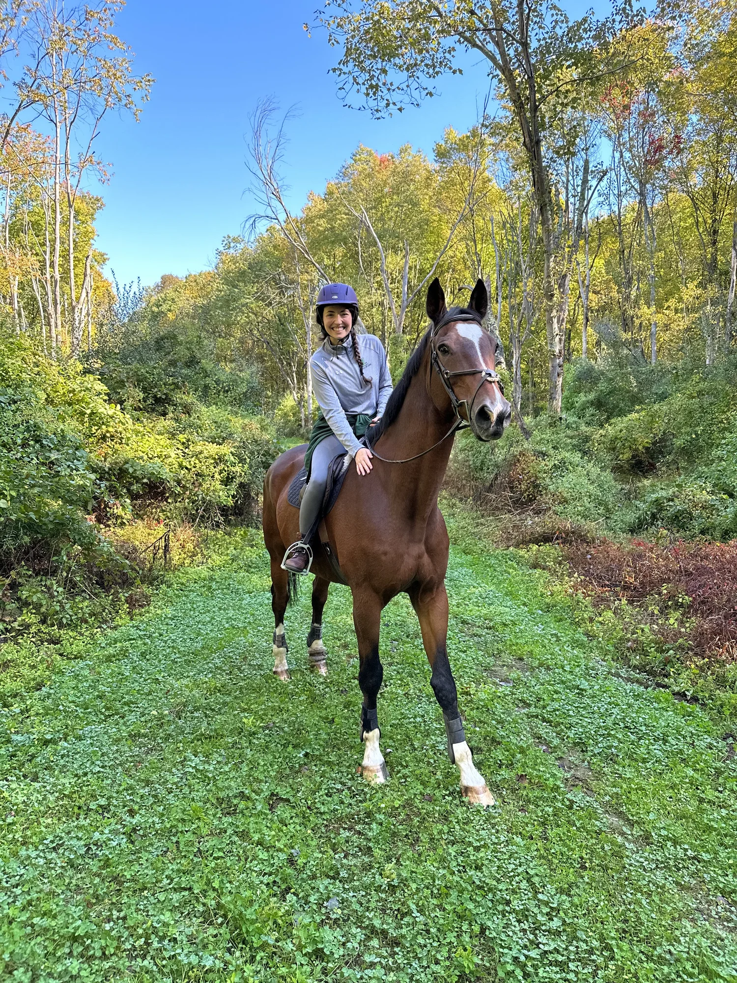 Riding Lessons — Chester Riding Club