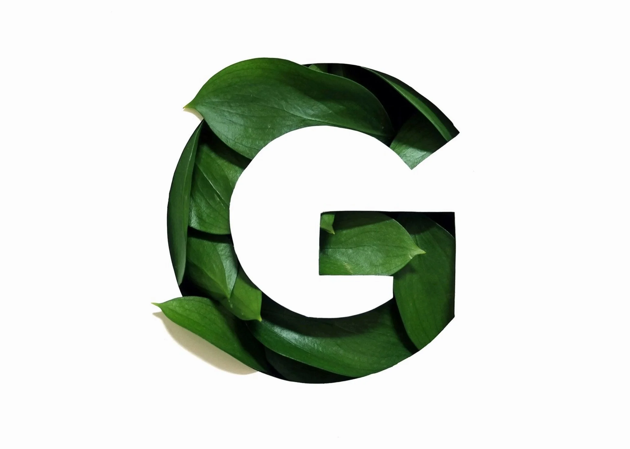 Caitlin Howe – Designer & Creative Lead • Chicago • NYC