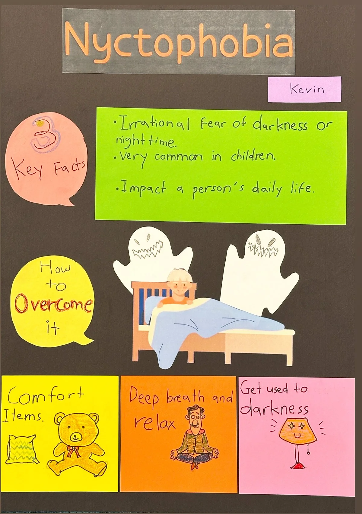 Grade 2 - Fear Free Project — PEAI