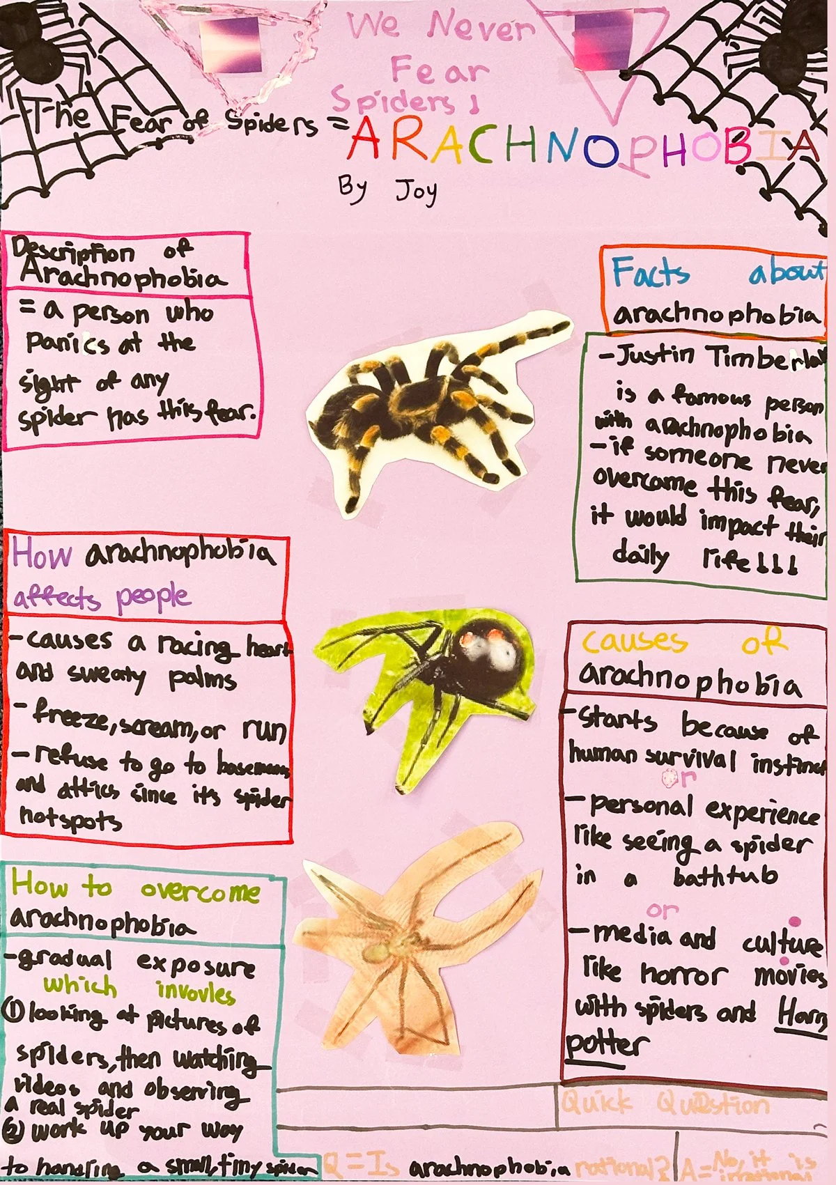 Grade 2 - Fear Free Project — PEAI