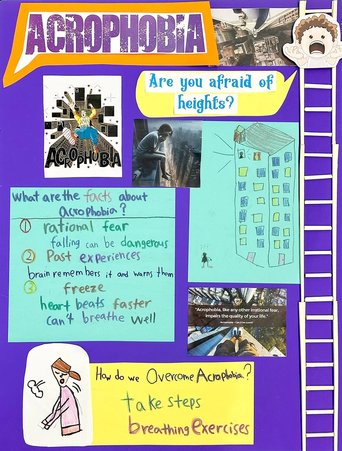 Grade 2 - Fear Free Project — PEAI