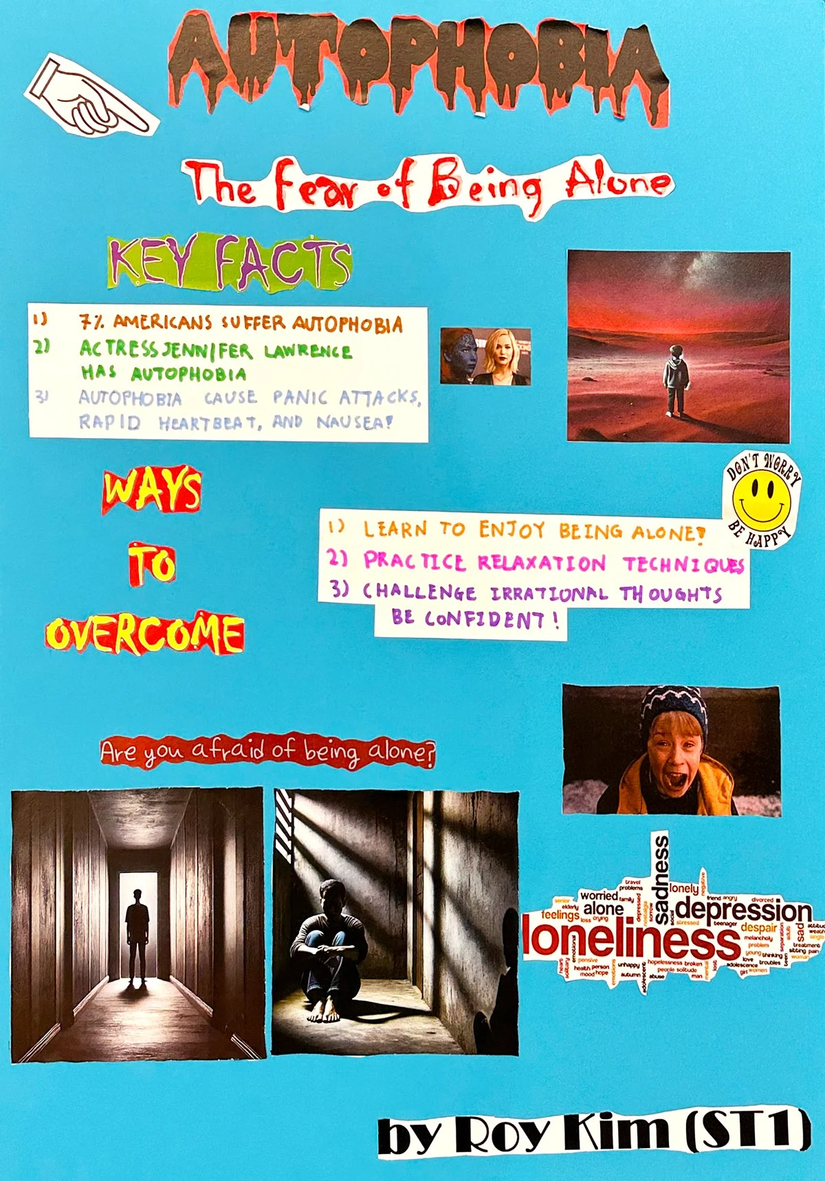 Grade 2 - Fear Free Project — PEAI