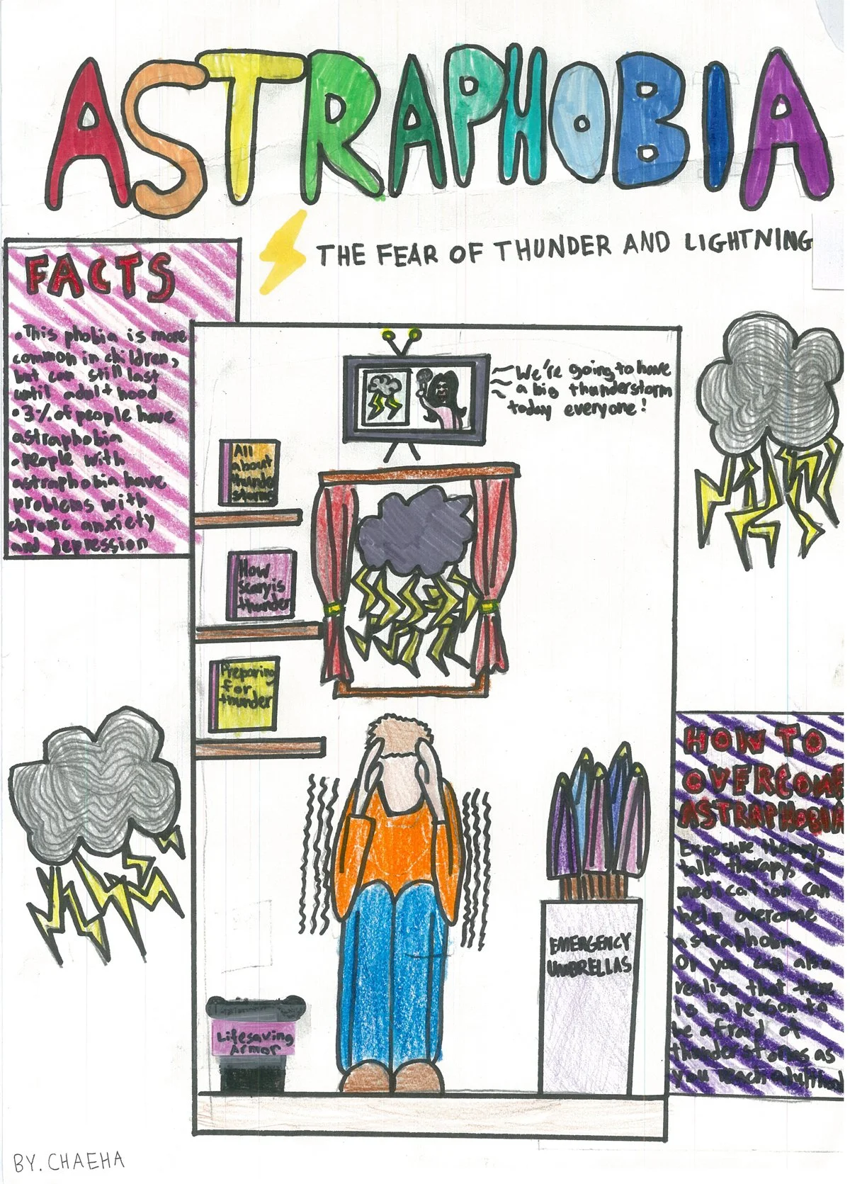 Grade 2 - Fear Free Project — PEAI