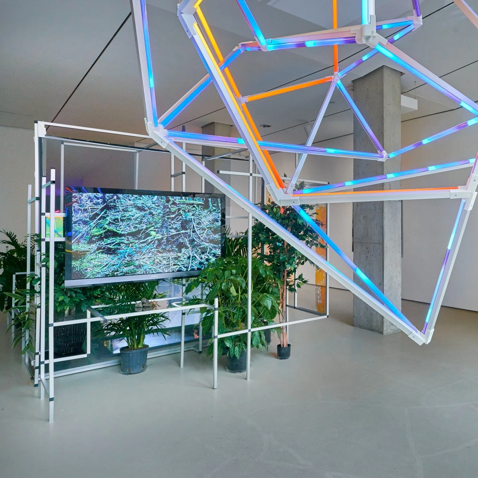 James Clar — Jane Lombard Gallery