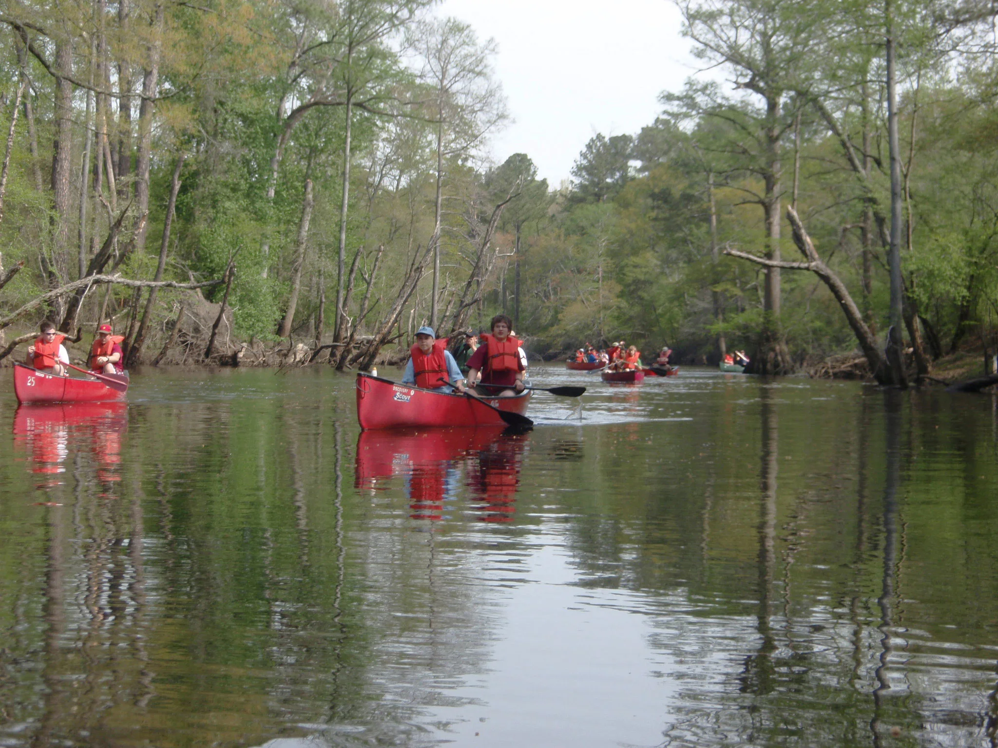 Articles — Joseph Nicolosi - Reparative Therapy®