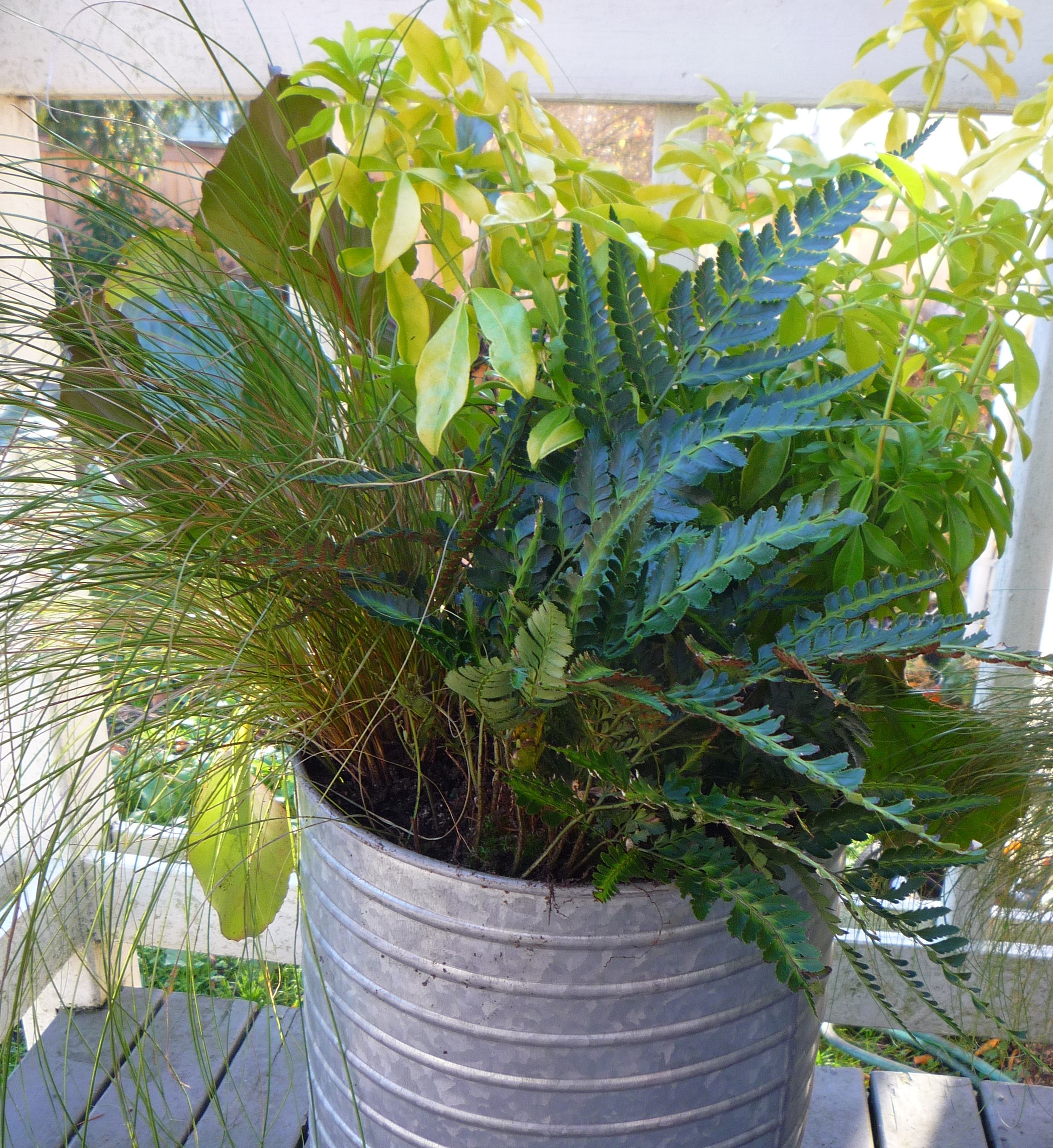 Containers — Firecracker