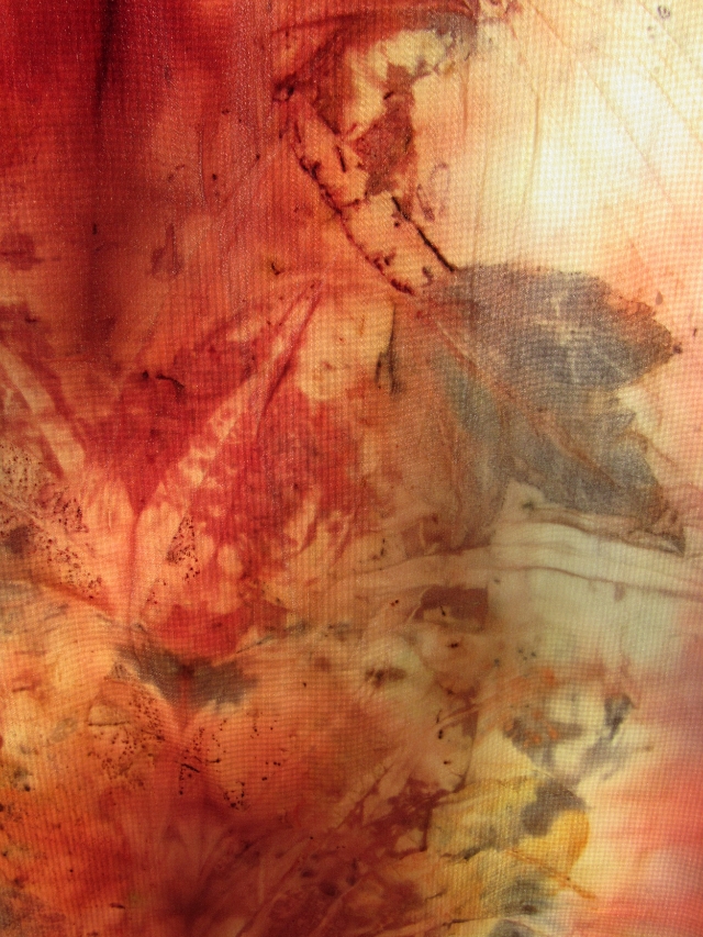Gallery — Julie Pishny