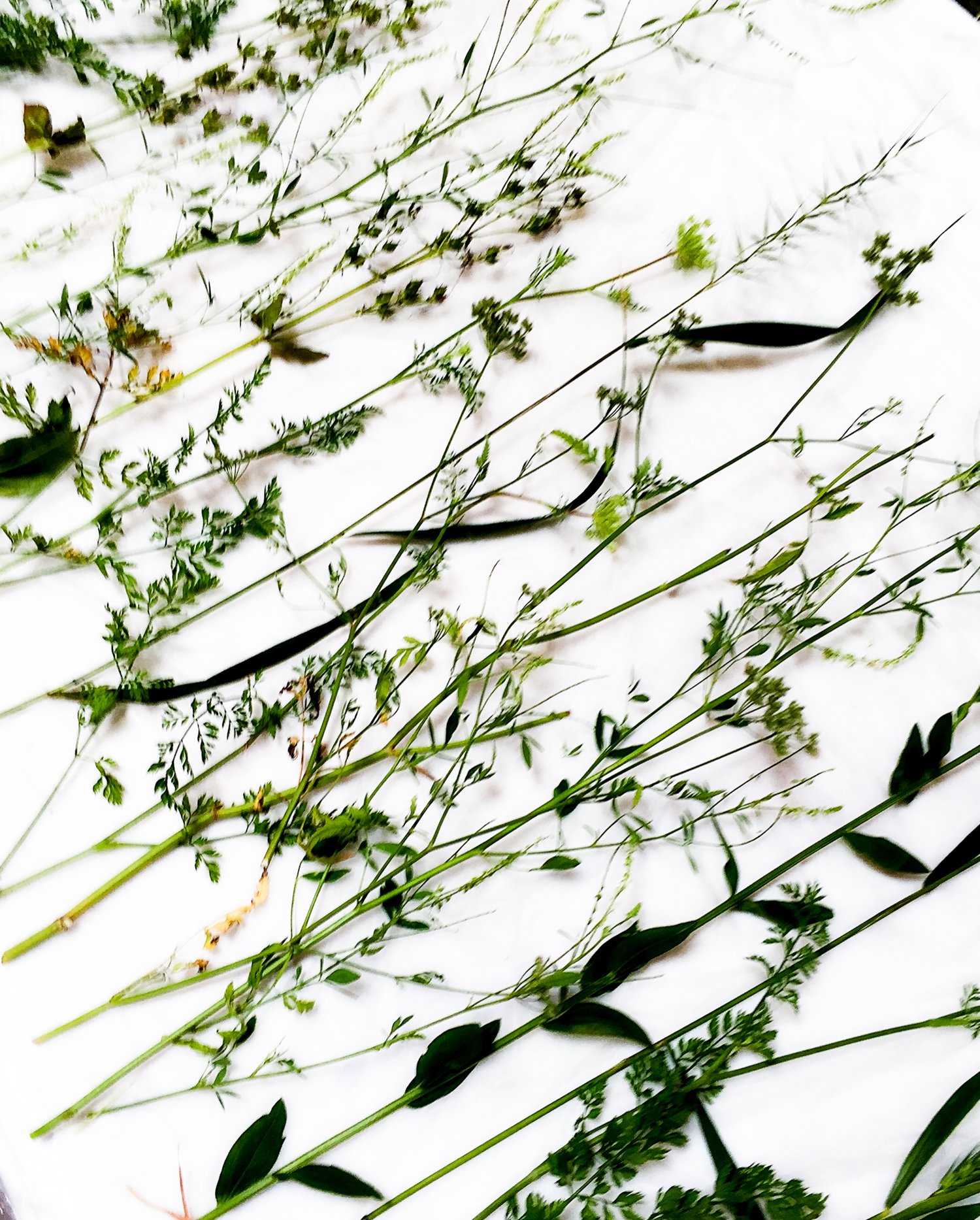 Gallery — Julie Pishny