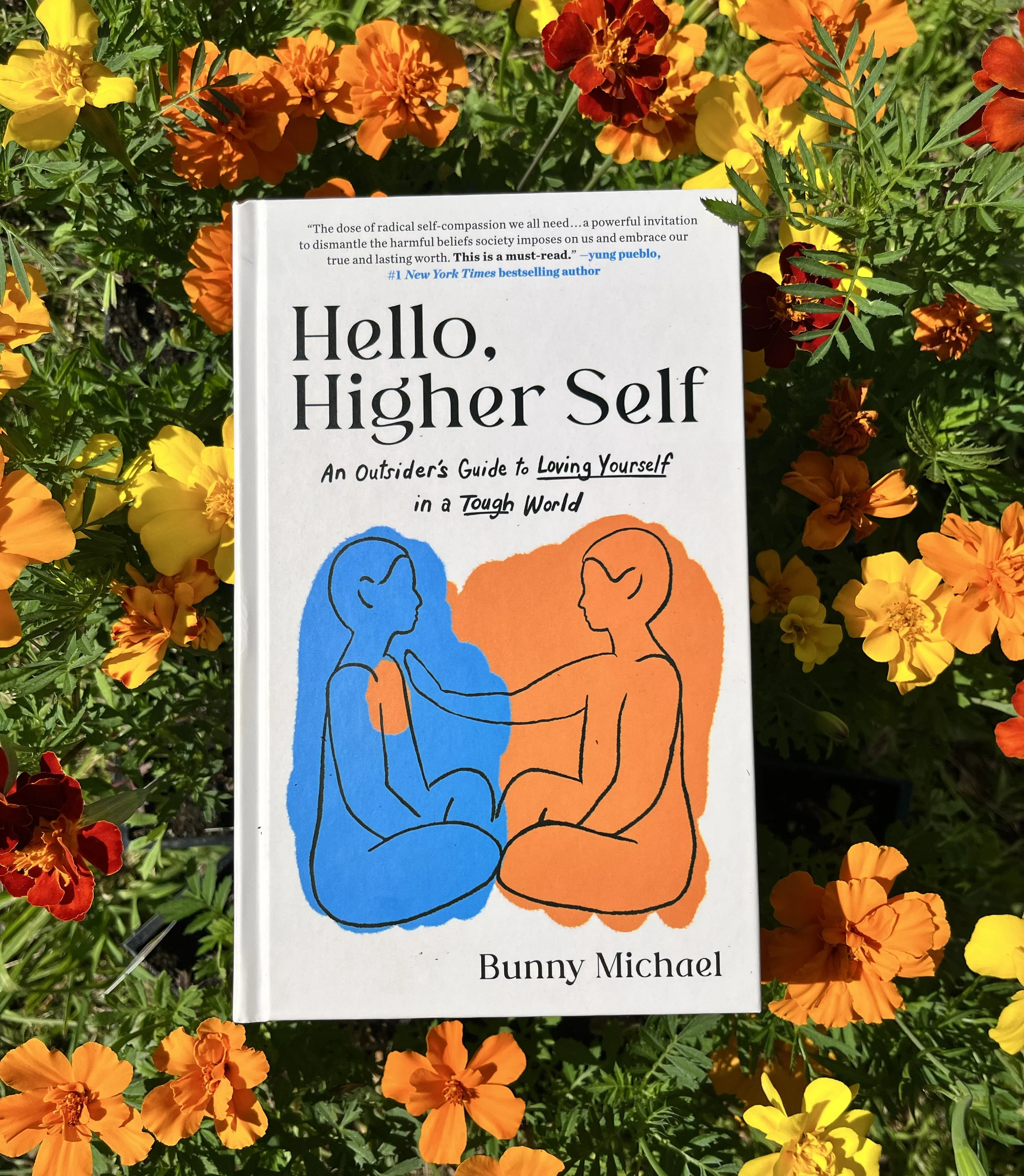 HELLO HIGHER SELF BOOK — Bunny Michael