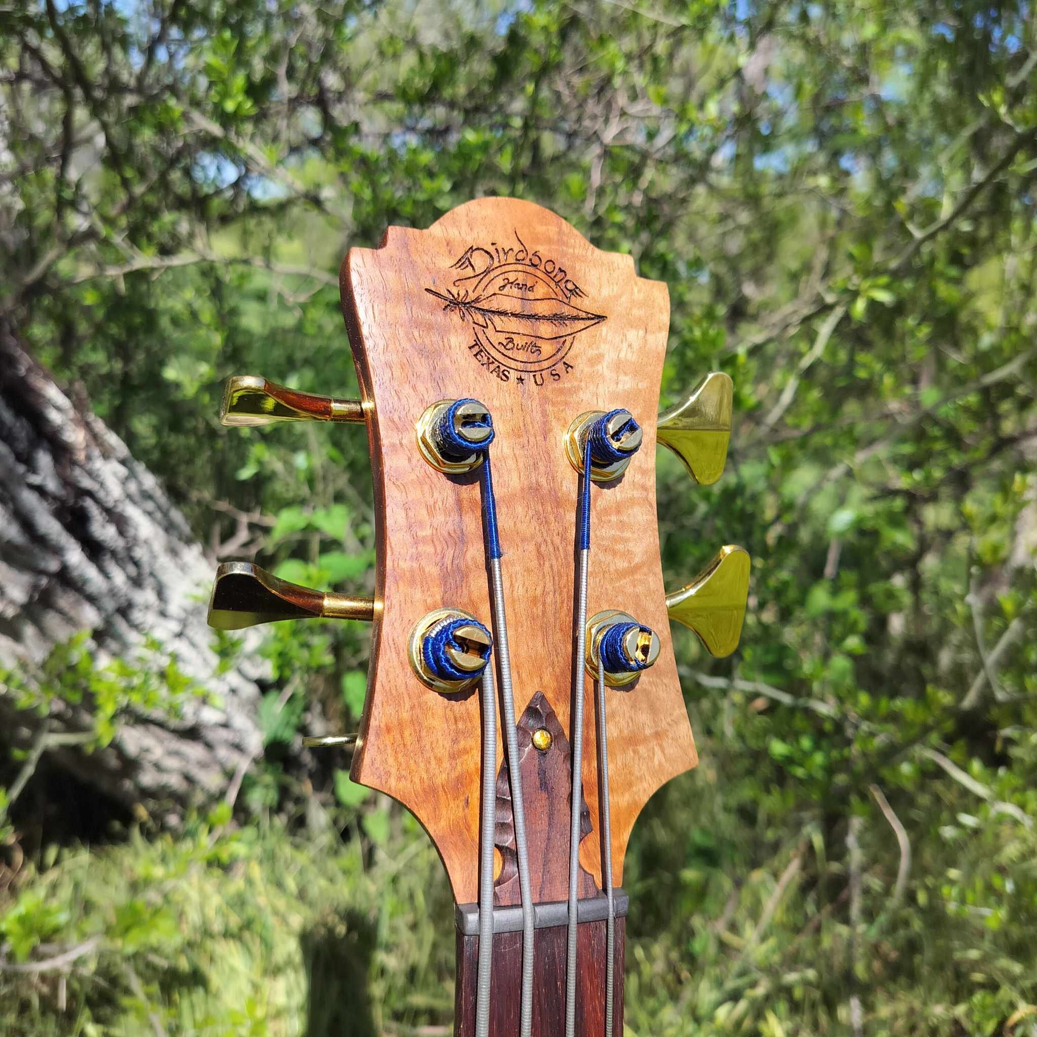 Birdsong Guitars & Basses