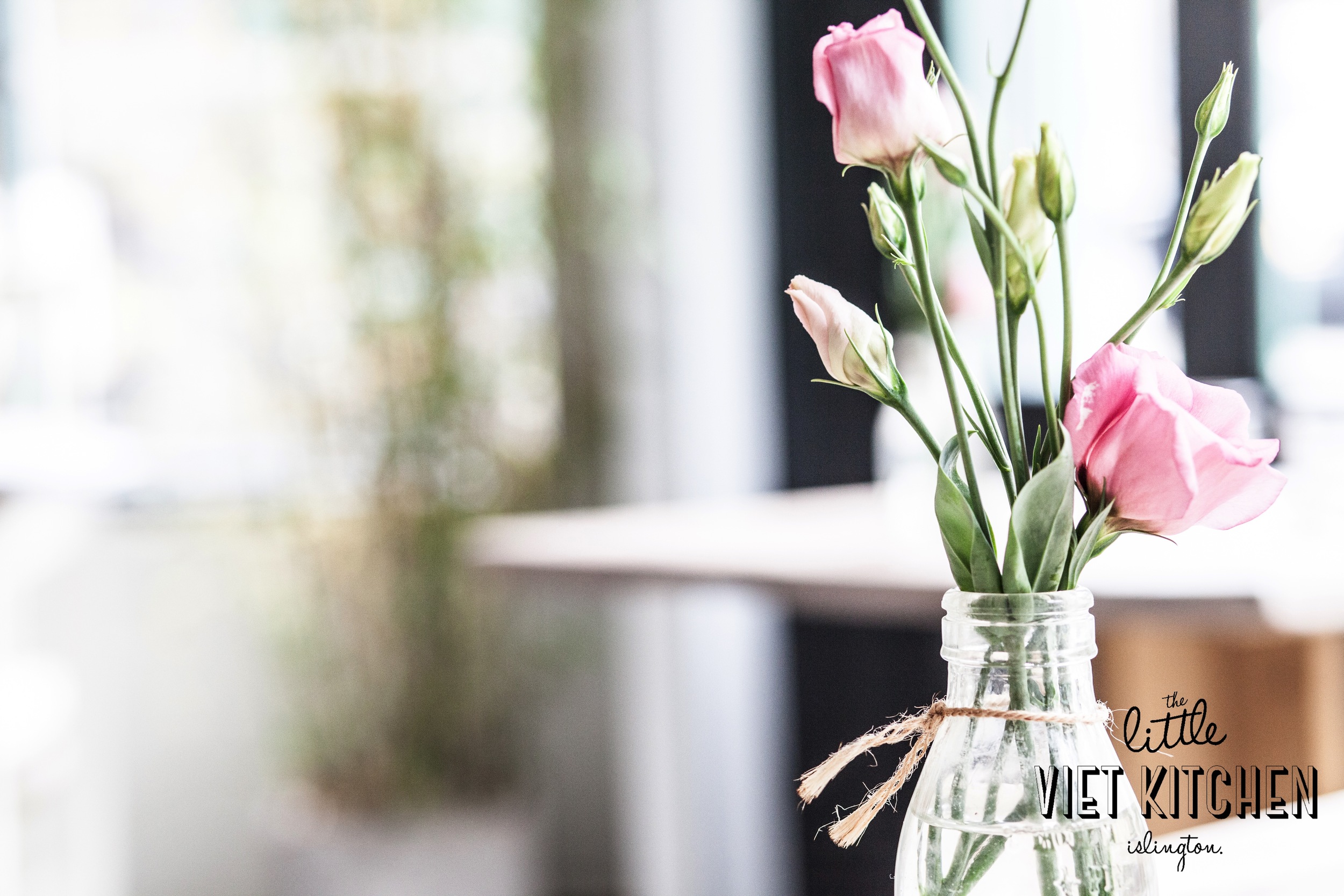 Gallery — The Little Viet Kitchen