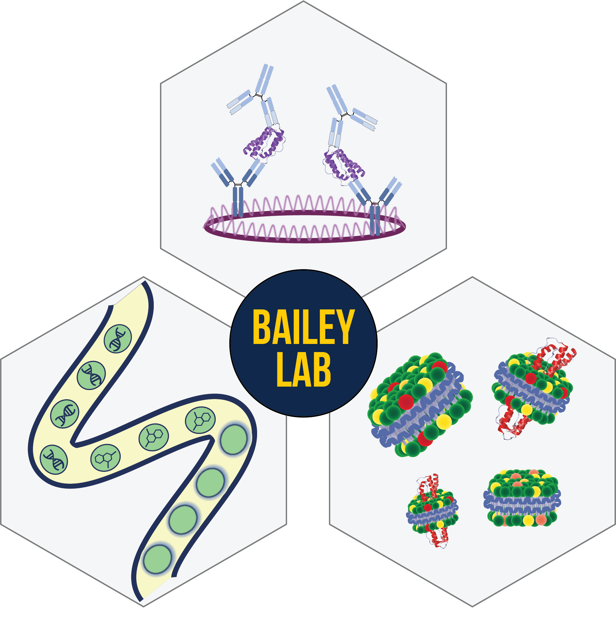 The Team — The Bailey Lab
