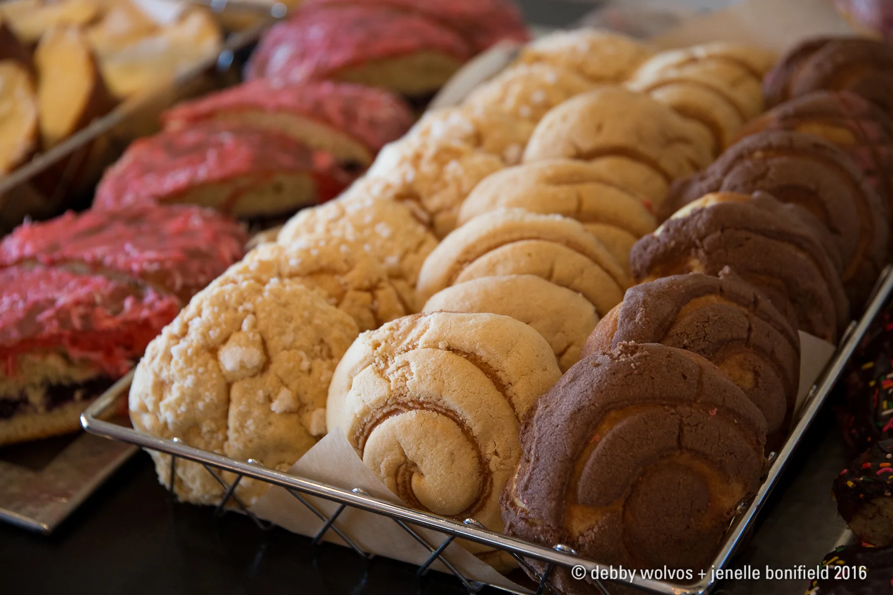 TUCSON: Tucson 23 Mexican Food Festival — Write On Rubee