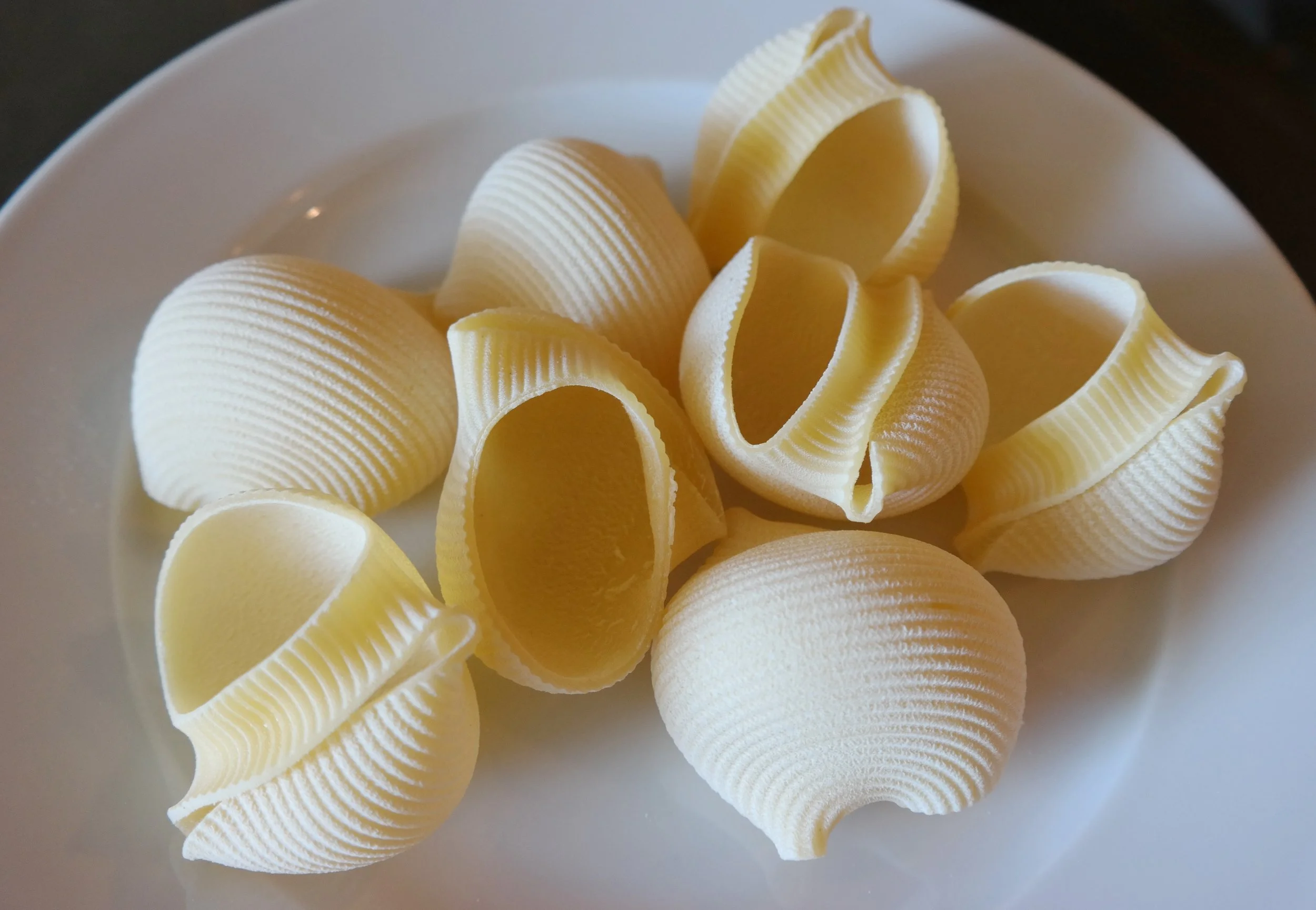 Baked Lumaconi with Three Cheese and Sausage Filling — Write On Rubee