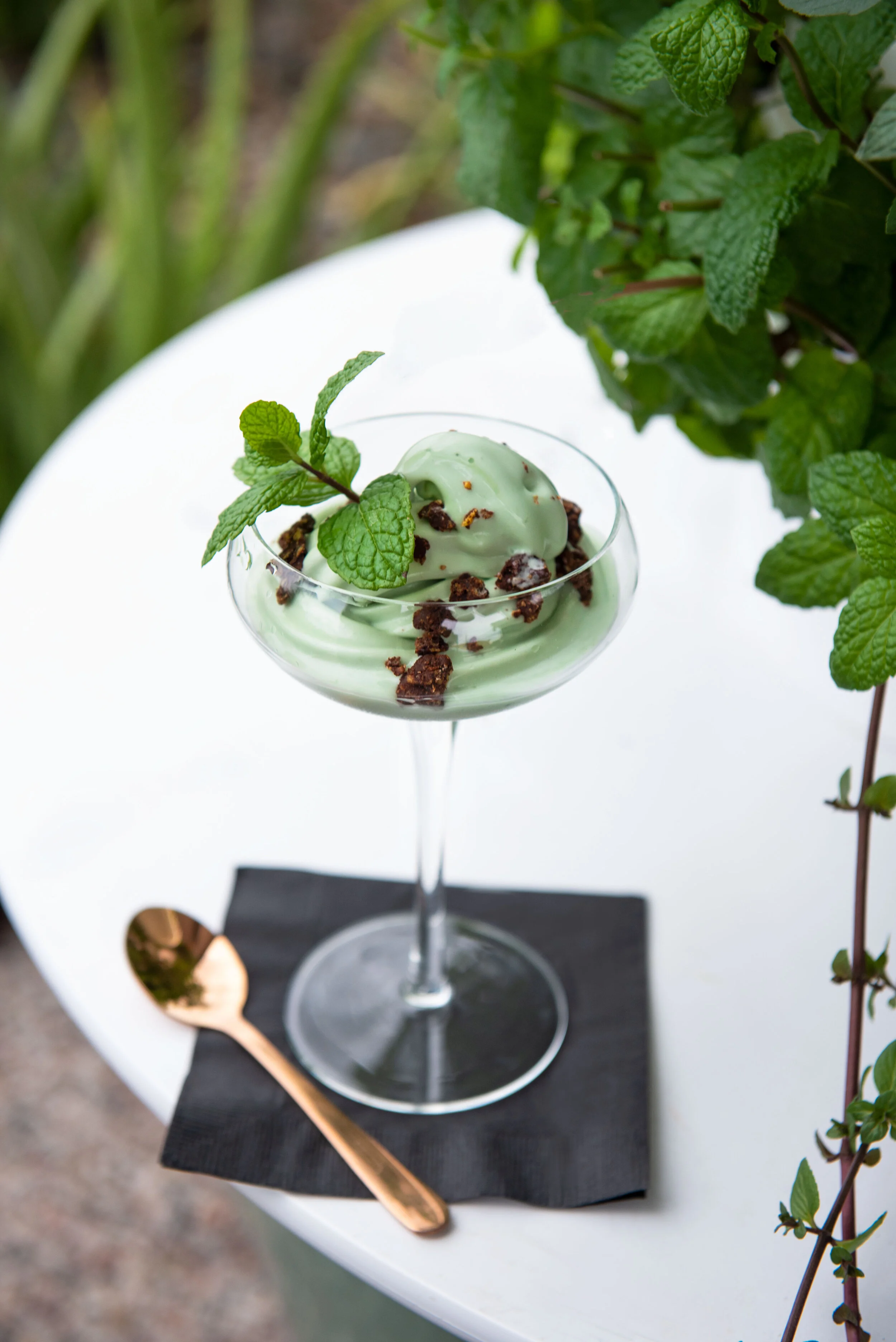 Celebrate with Provision Coffee's Grasshopper Cocktail — Write On Rubee