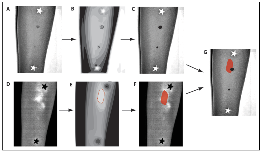SCIENCE — AllergyScope
