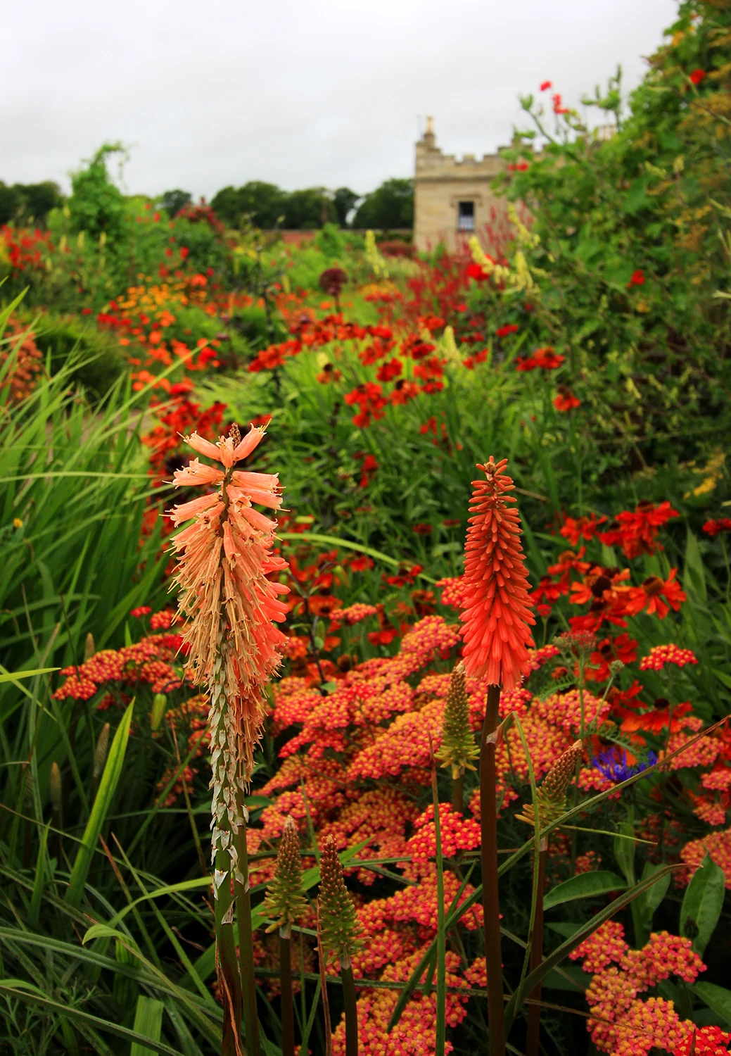 Rethinking red: Single color herbaceous borders at Floors Castle ...