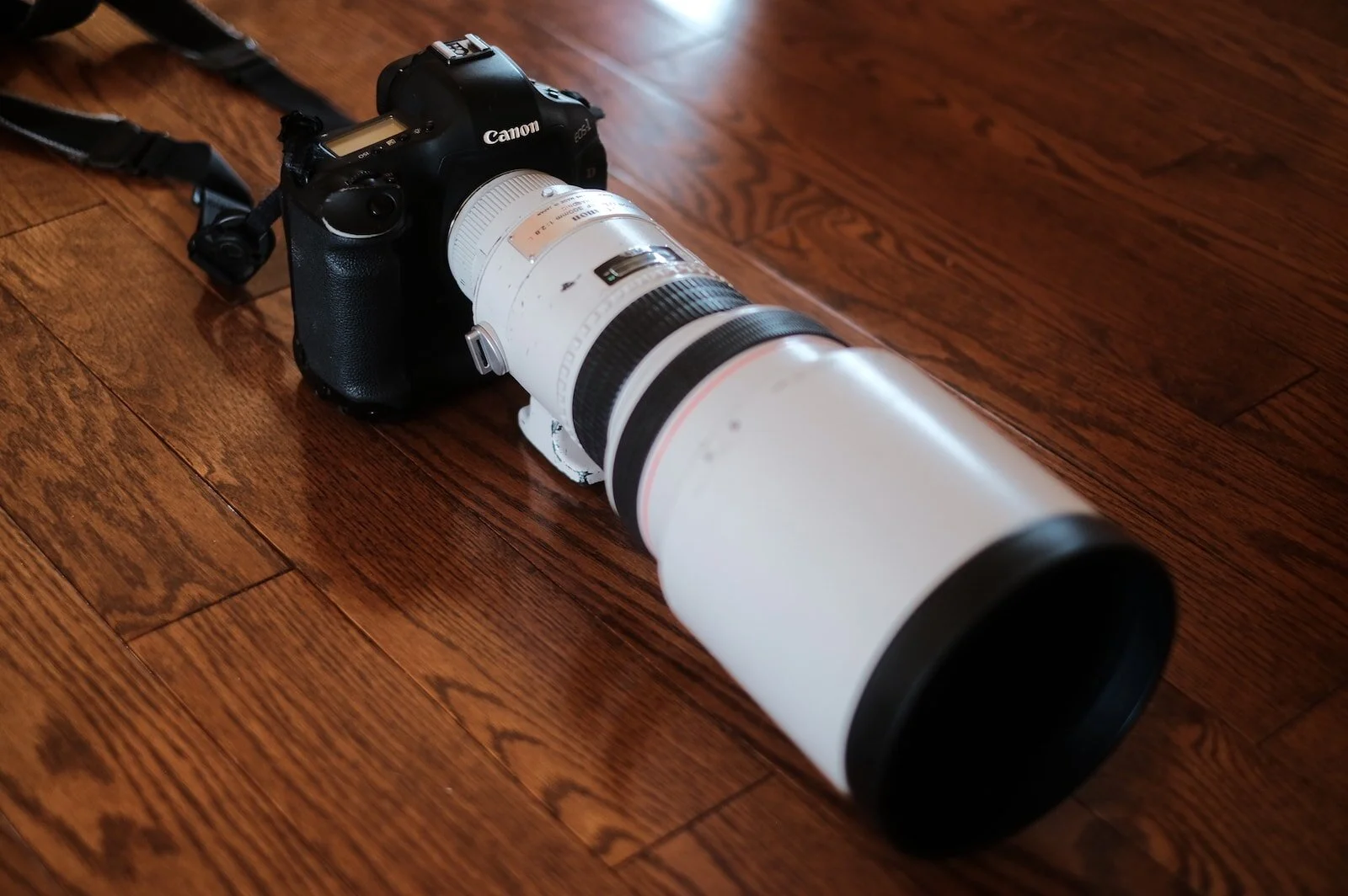 The Canon 1D mark IV review (2019) — The Most Beautiful World